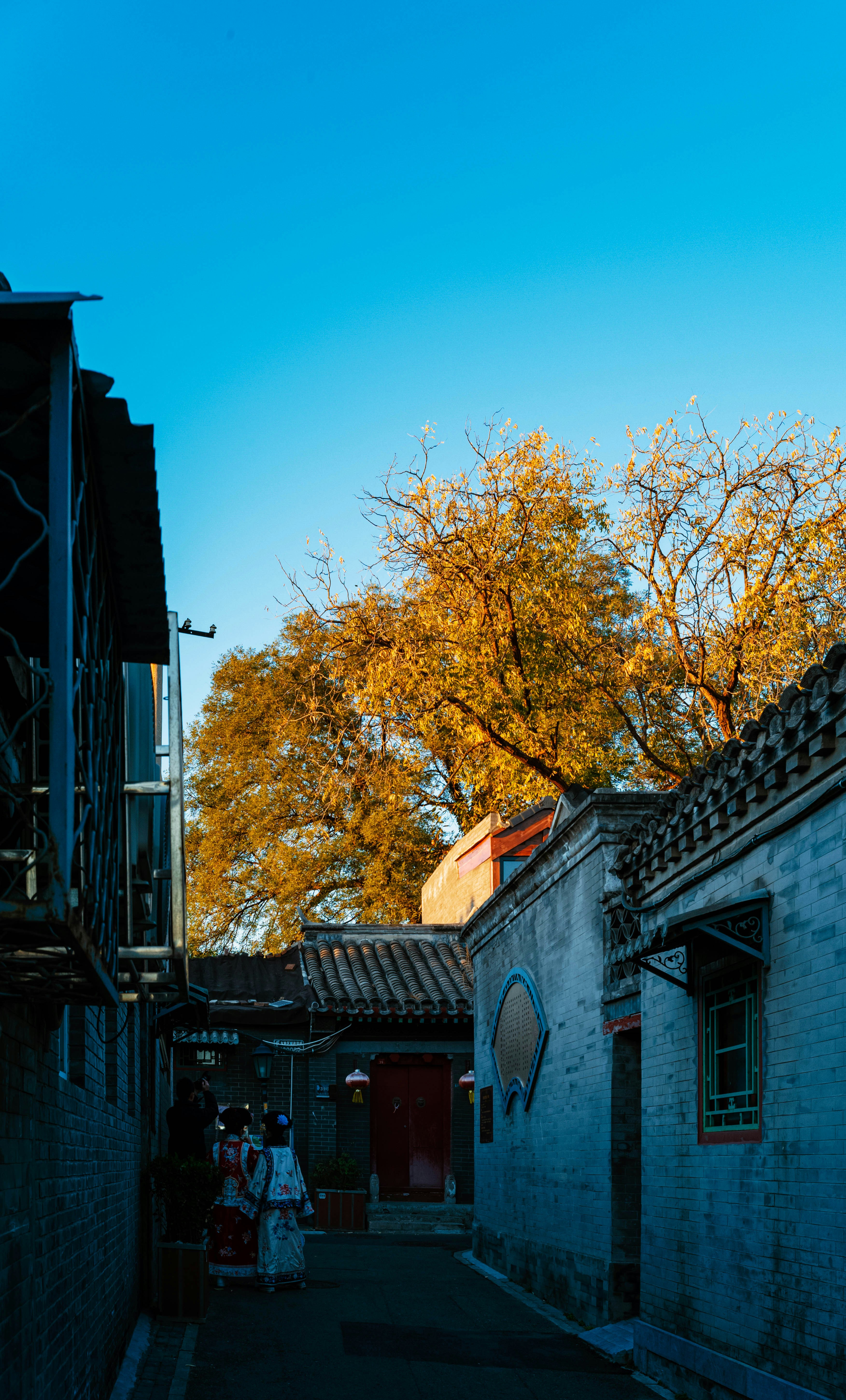 Golden Canopy Over a Blue-Walled Alley