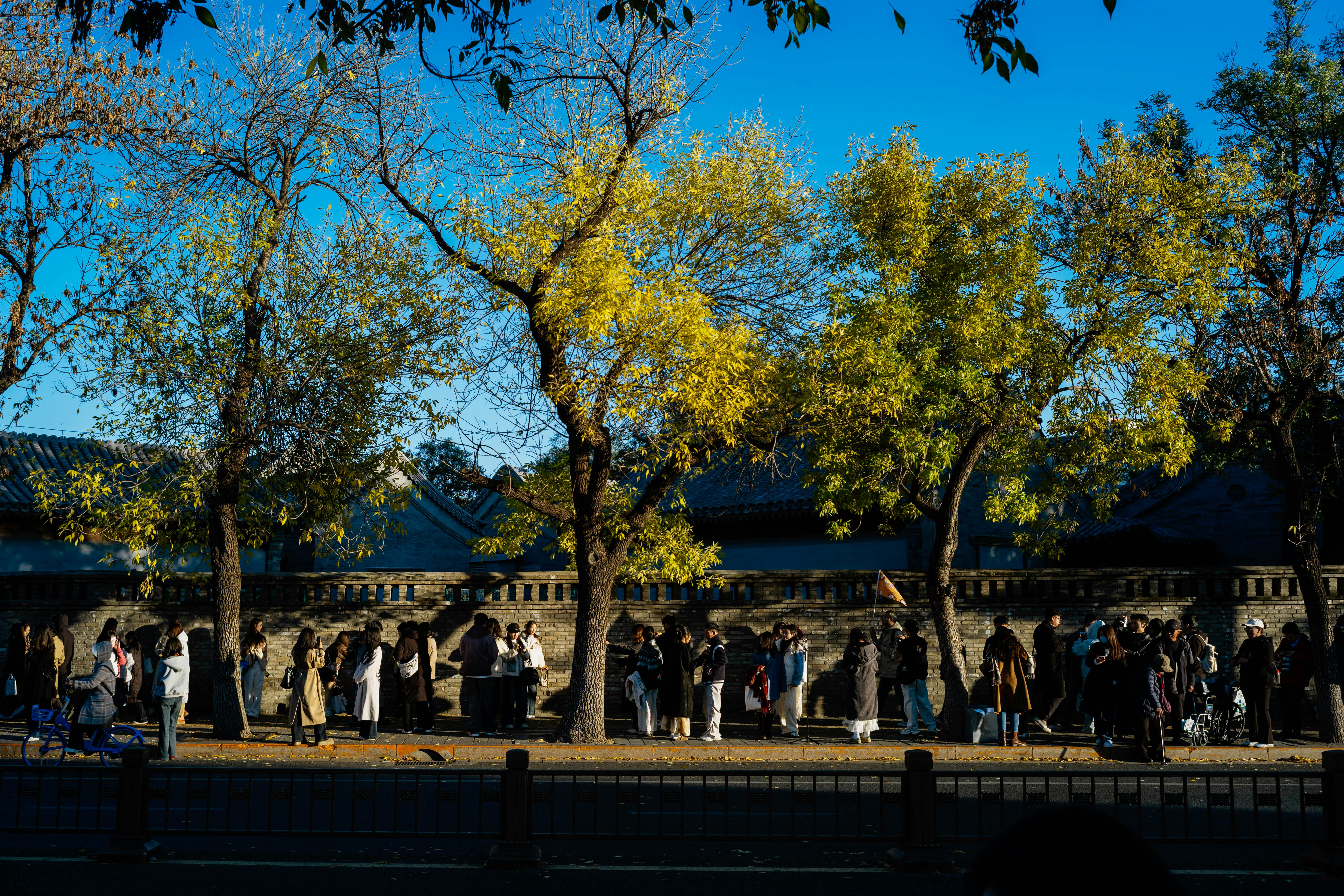 Autumn Assembly Along a Tree-Framed Riverside Walk