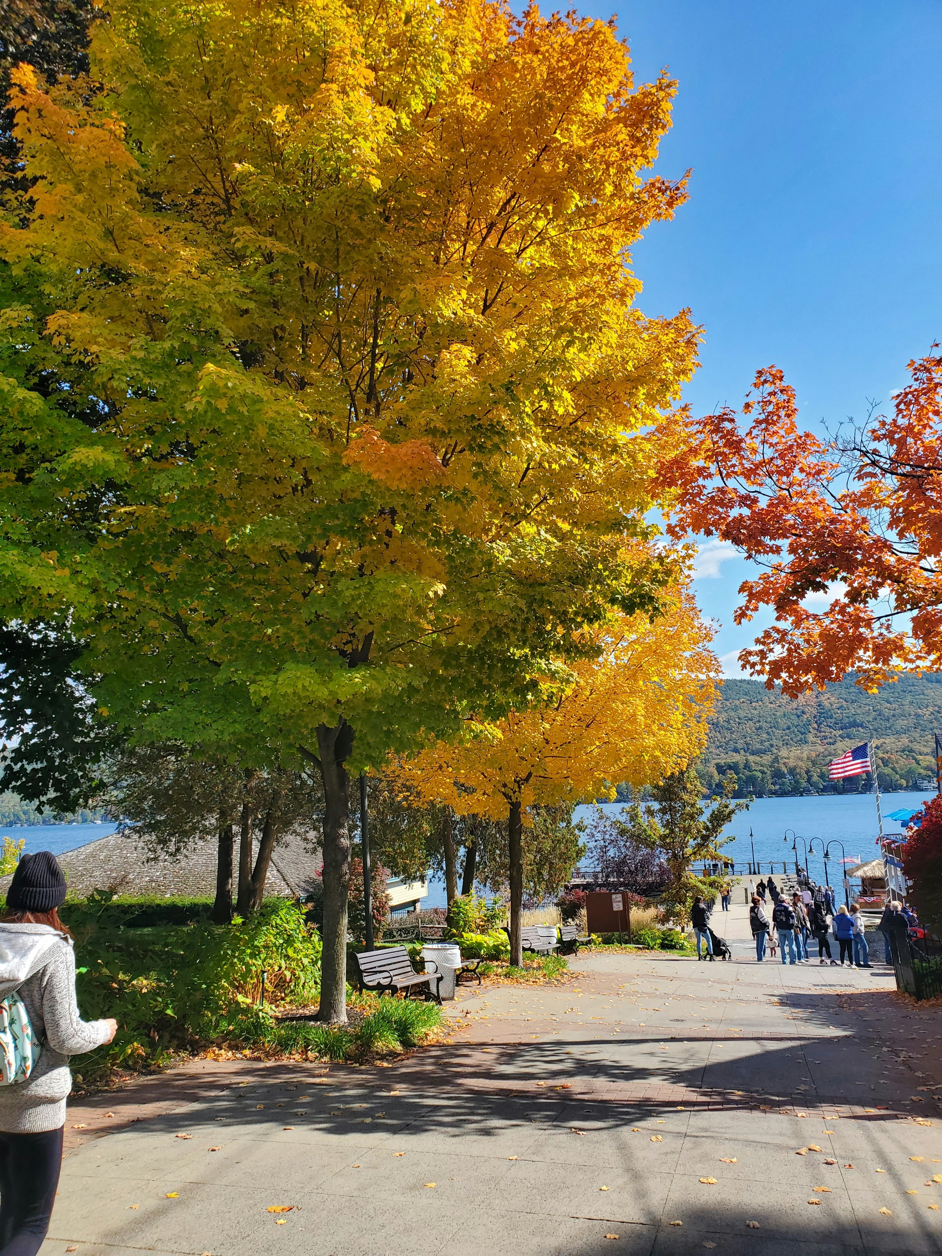 Golden Canopy Over a Lakefront Path in Autumn Light