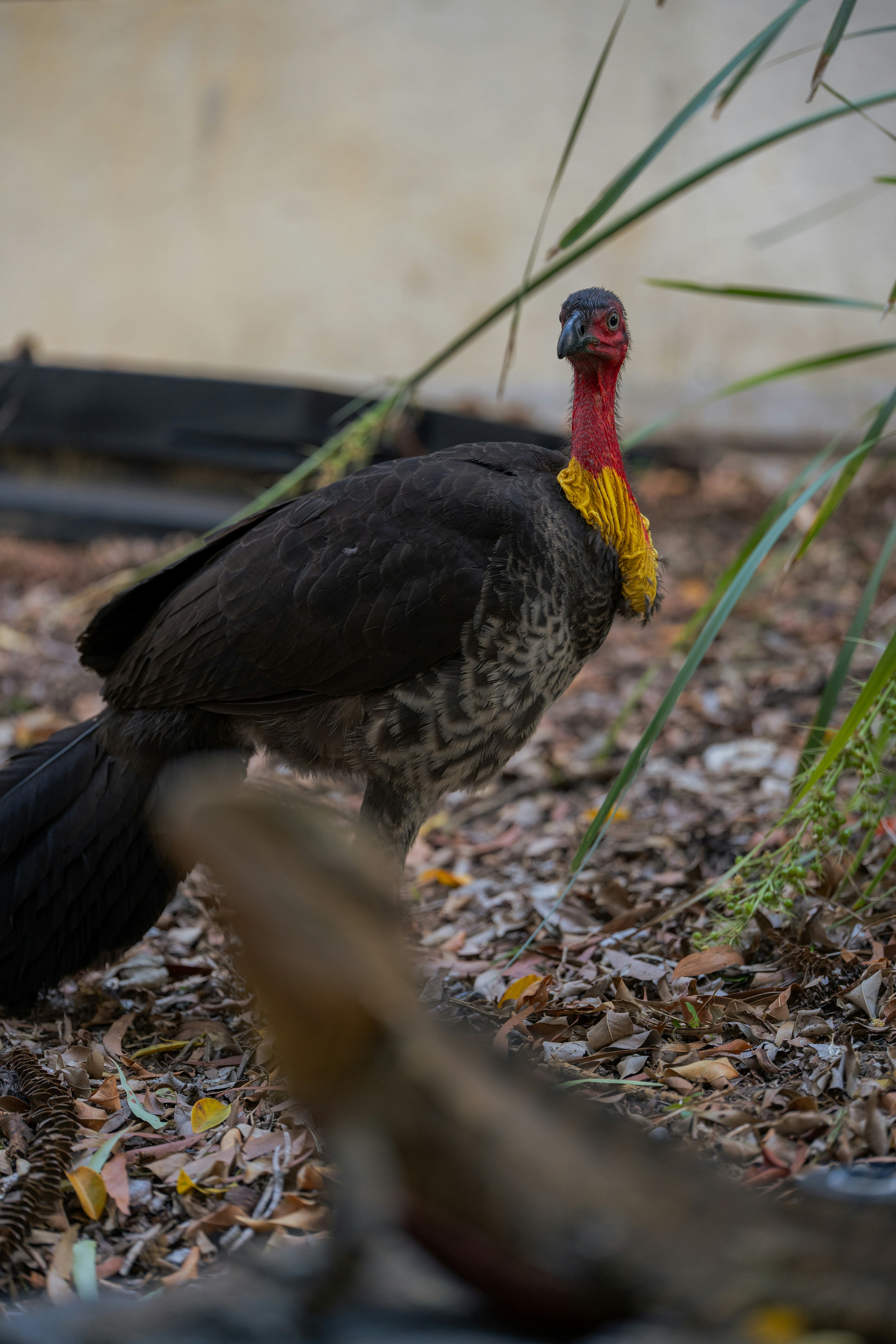 Photo by Davis Dai with Sony Alpha 7 IV