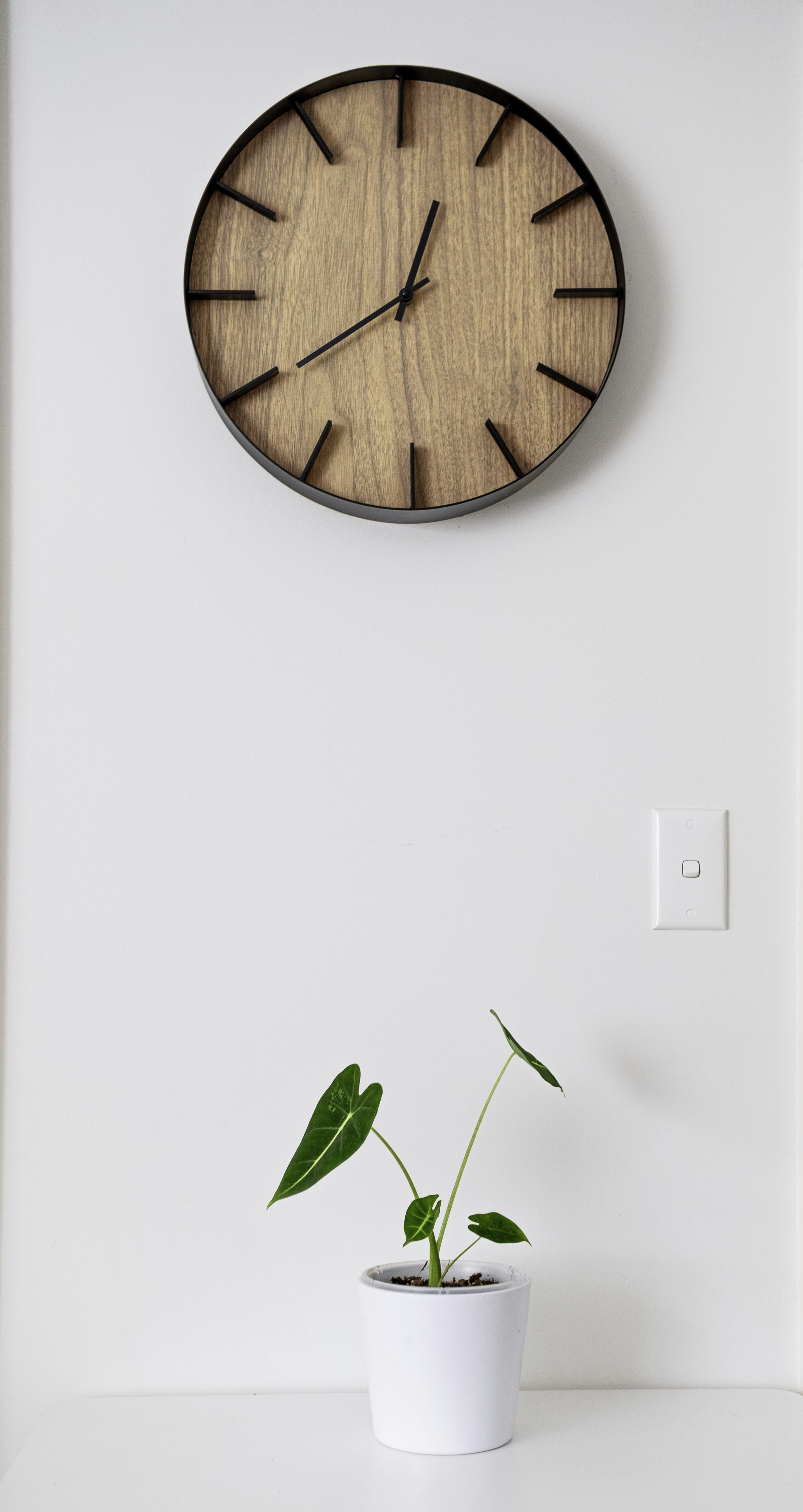 Time Tucked in Light: A Wooden Clock Above a Petite Plant