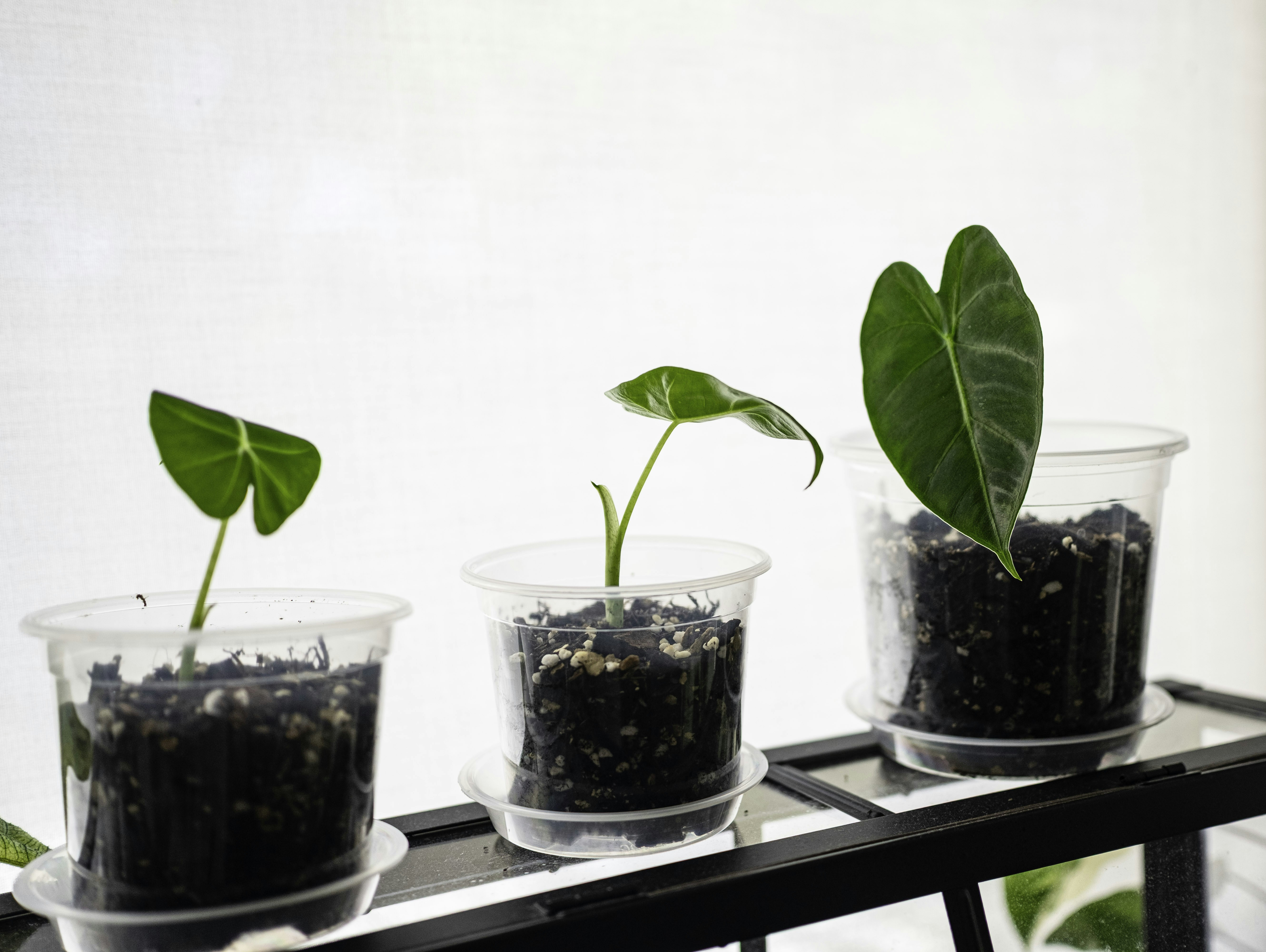 Photo by Anna Manson with Fujifilm X-T2