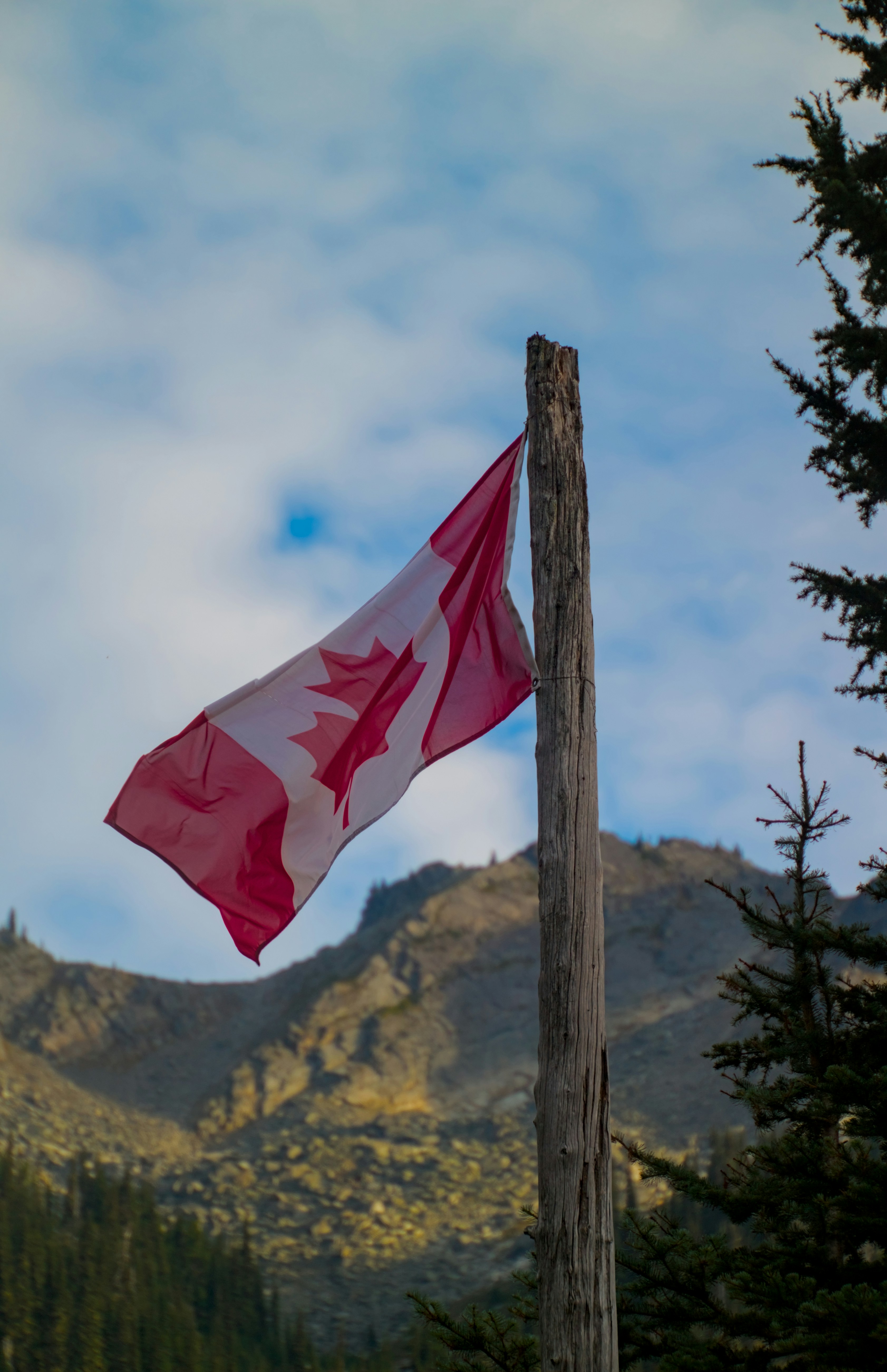 Photo by Nathan Trenchuk with Canon EOS M