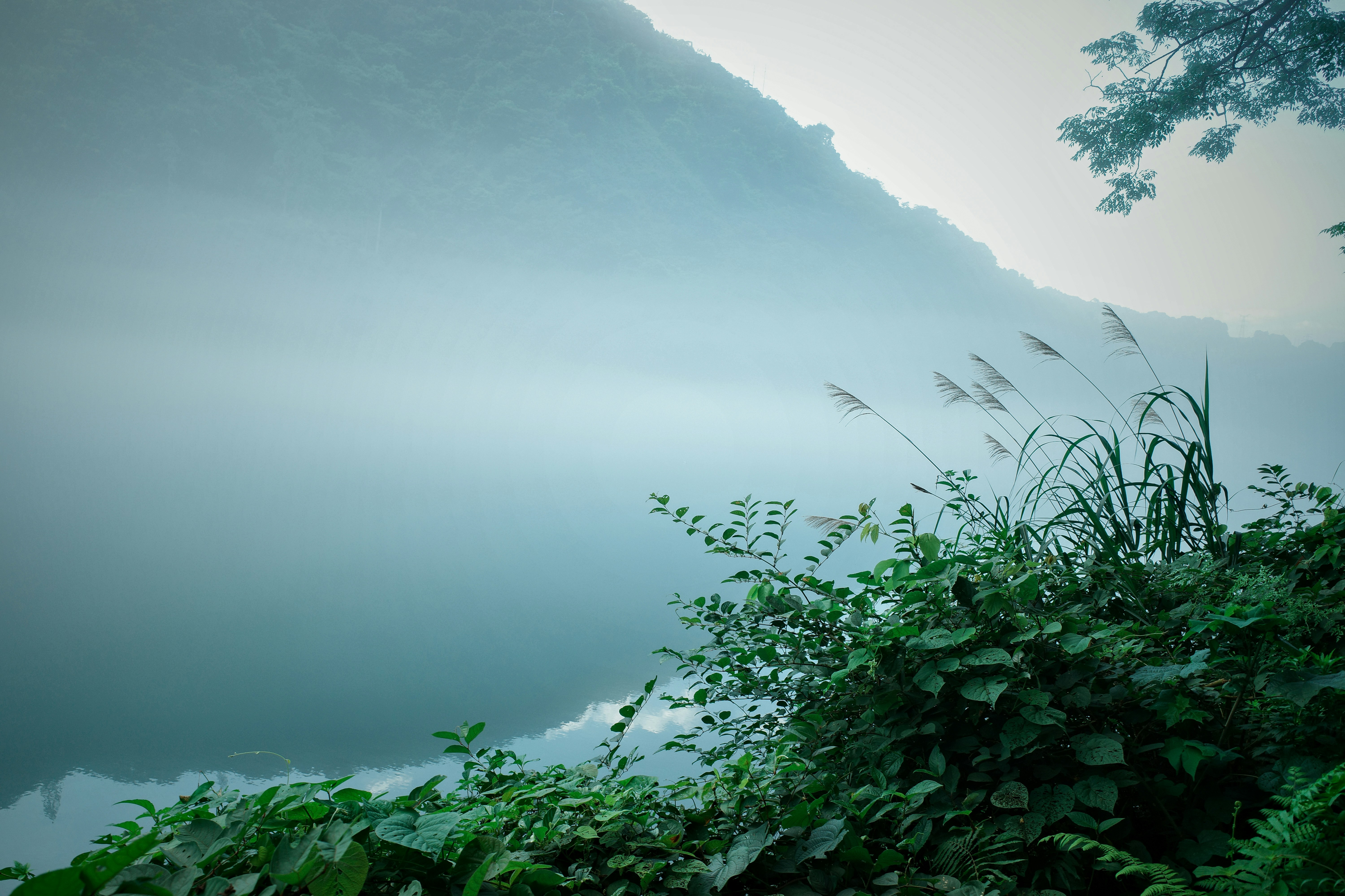 Blue Velvet Mist Drapes a Quiet Alpine Lake