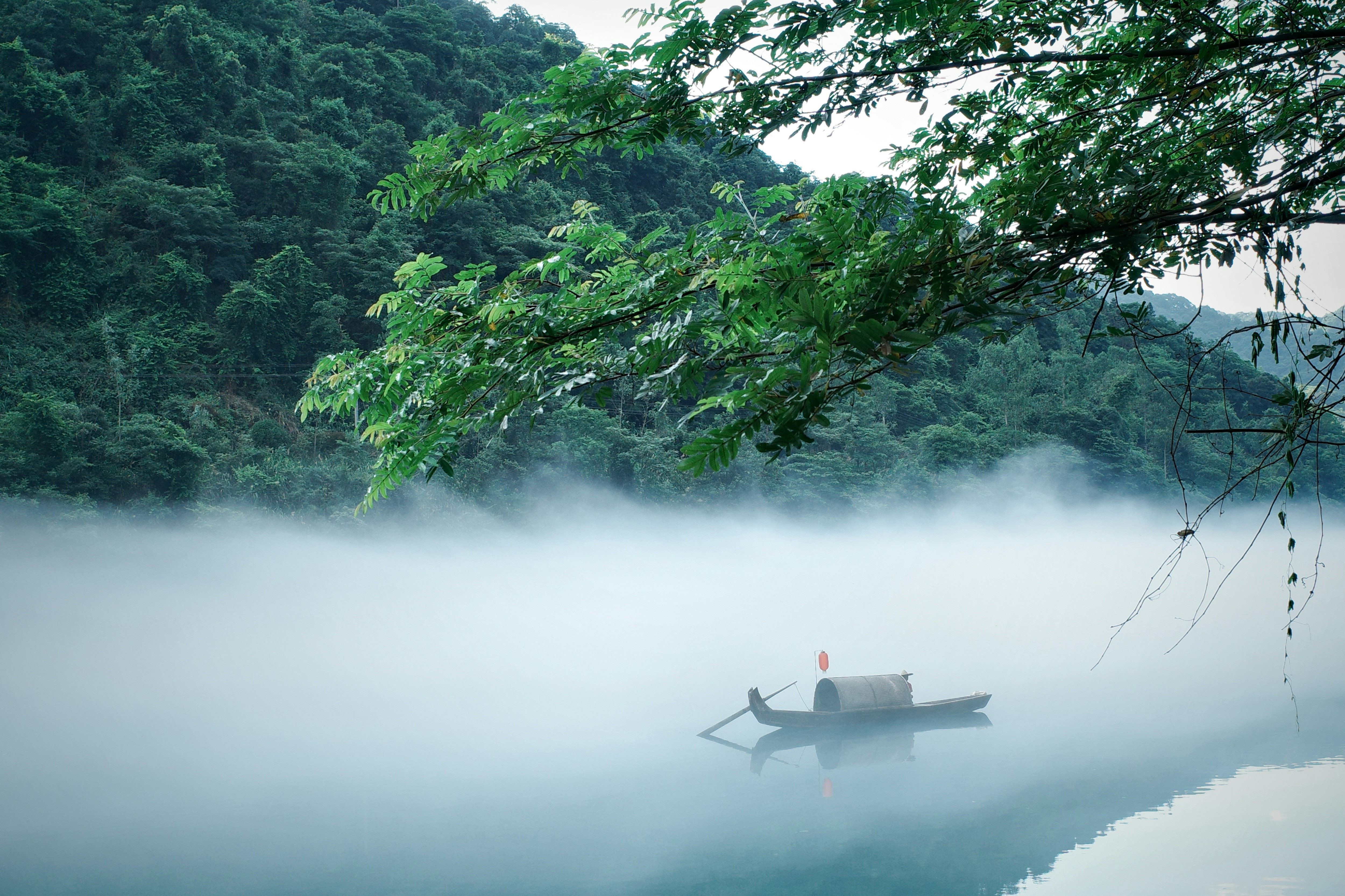 Photo by wen jian with Ricoh GR III