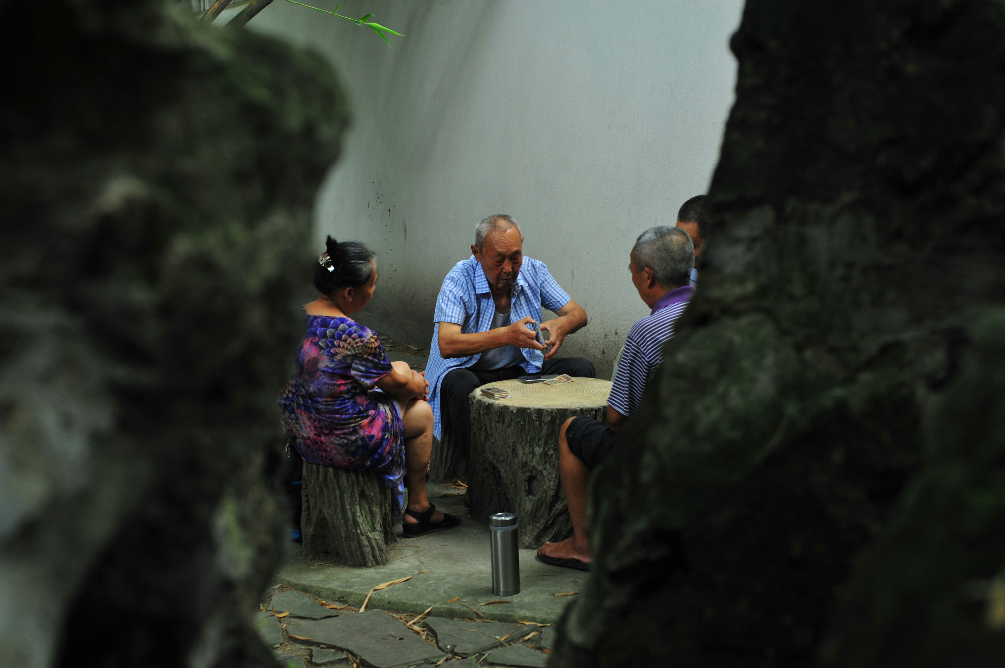 Tea Circle at the Stump: A Quiet Gathering in a Rock-Walled Nook