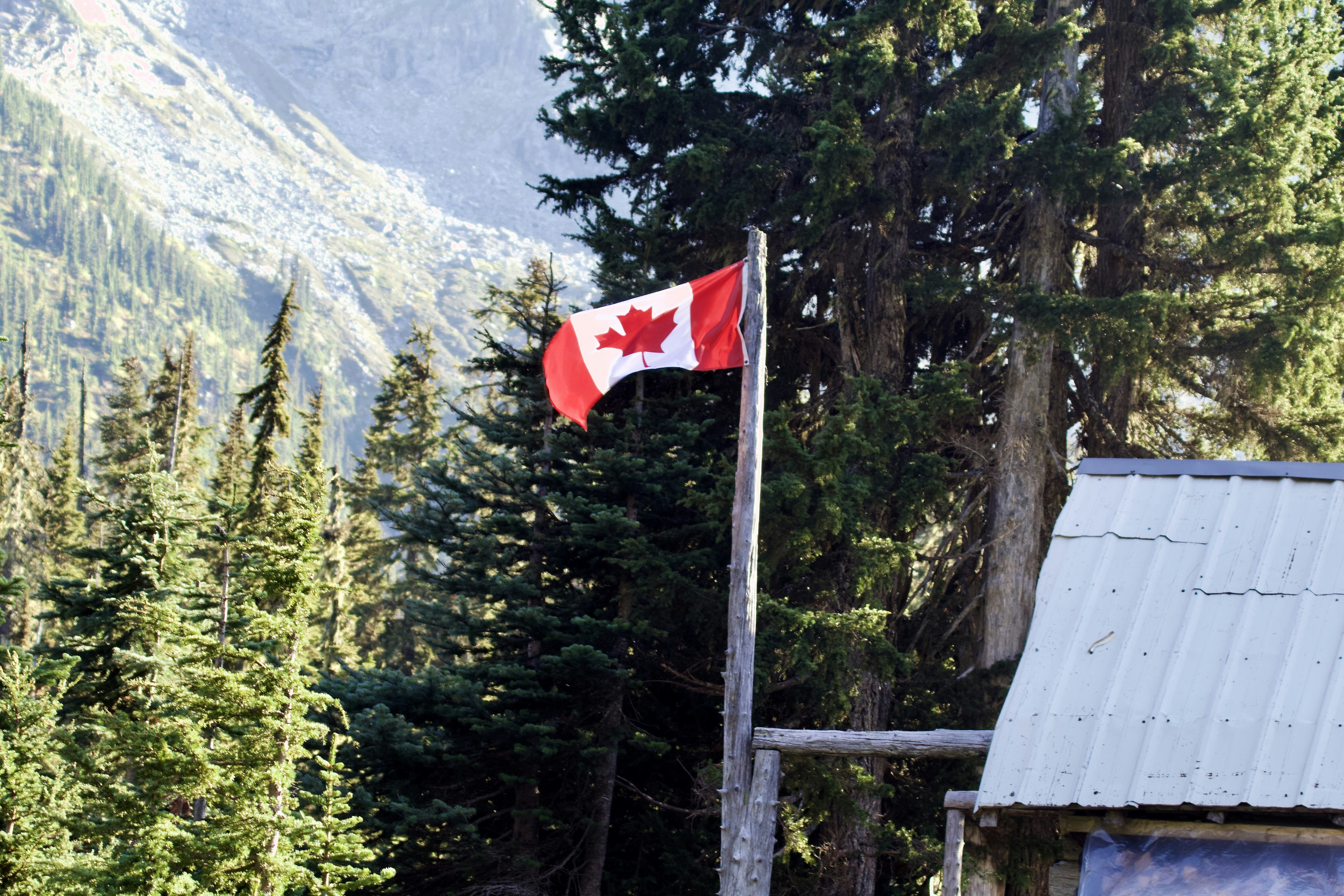 Flag on a Weathered Post Above Pines with Alpine Backdrop