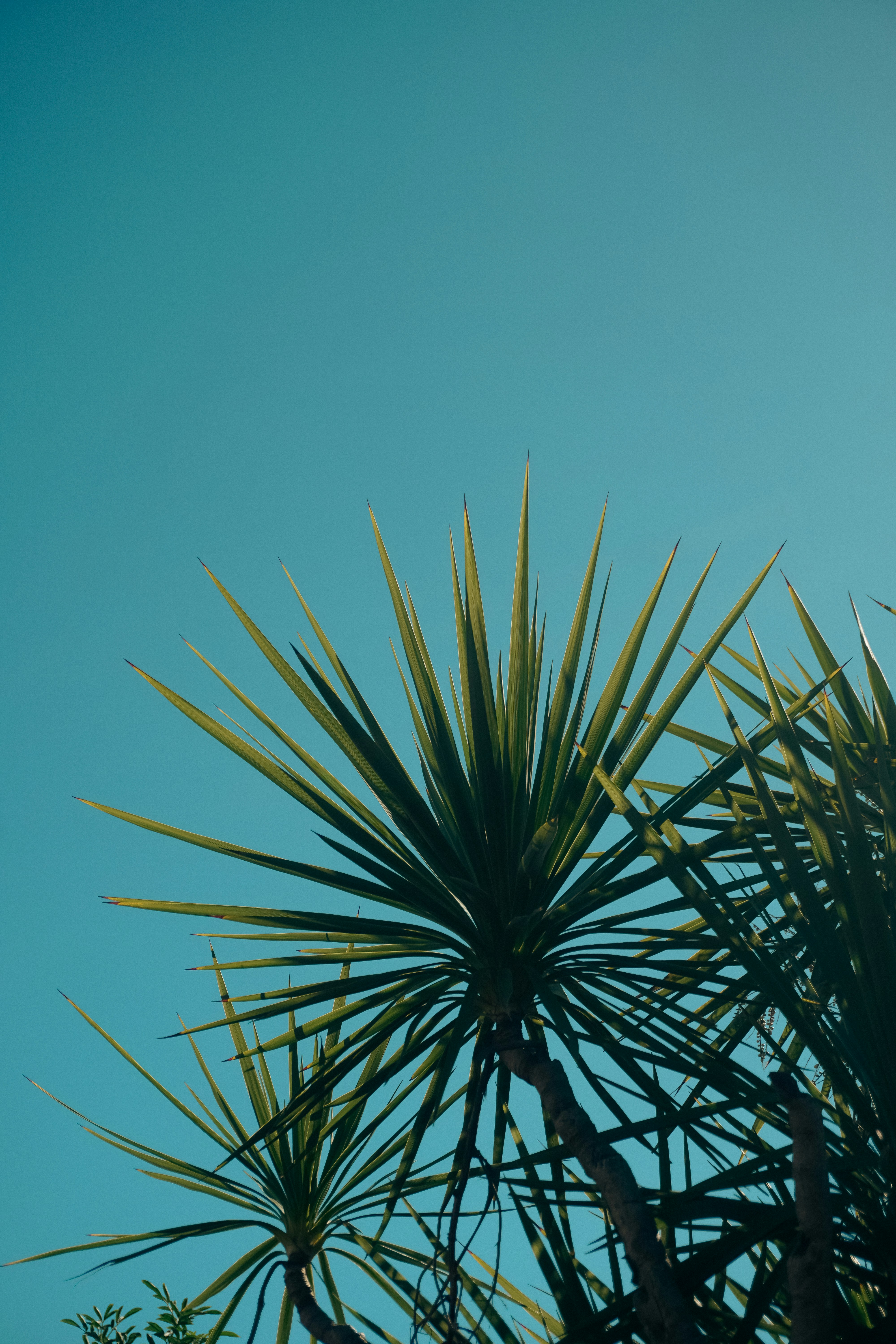 Photo by giri dharan with Sony Alpha 6100