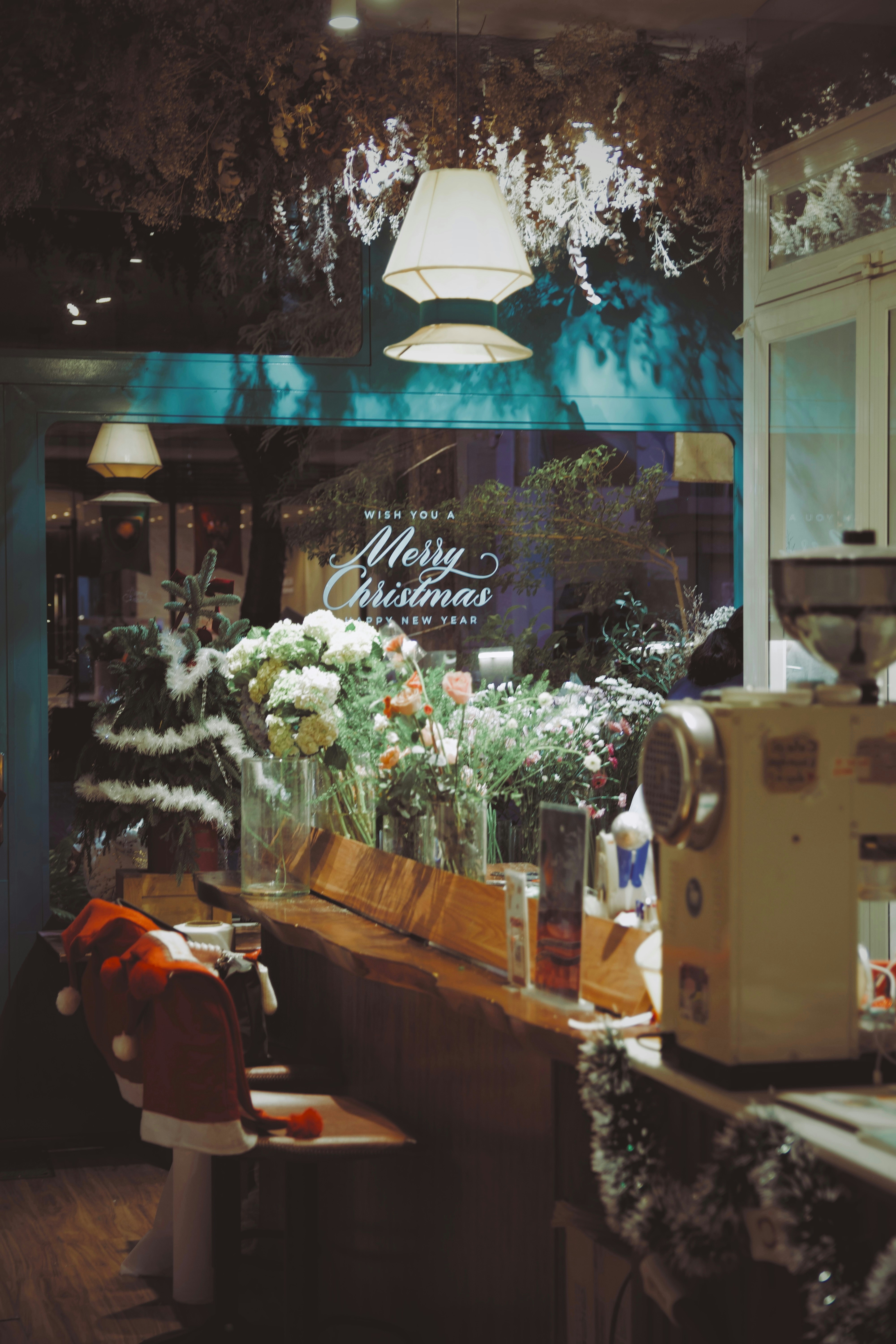 Noel in Glass: A Quiet Window Bloom