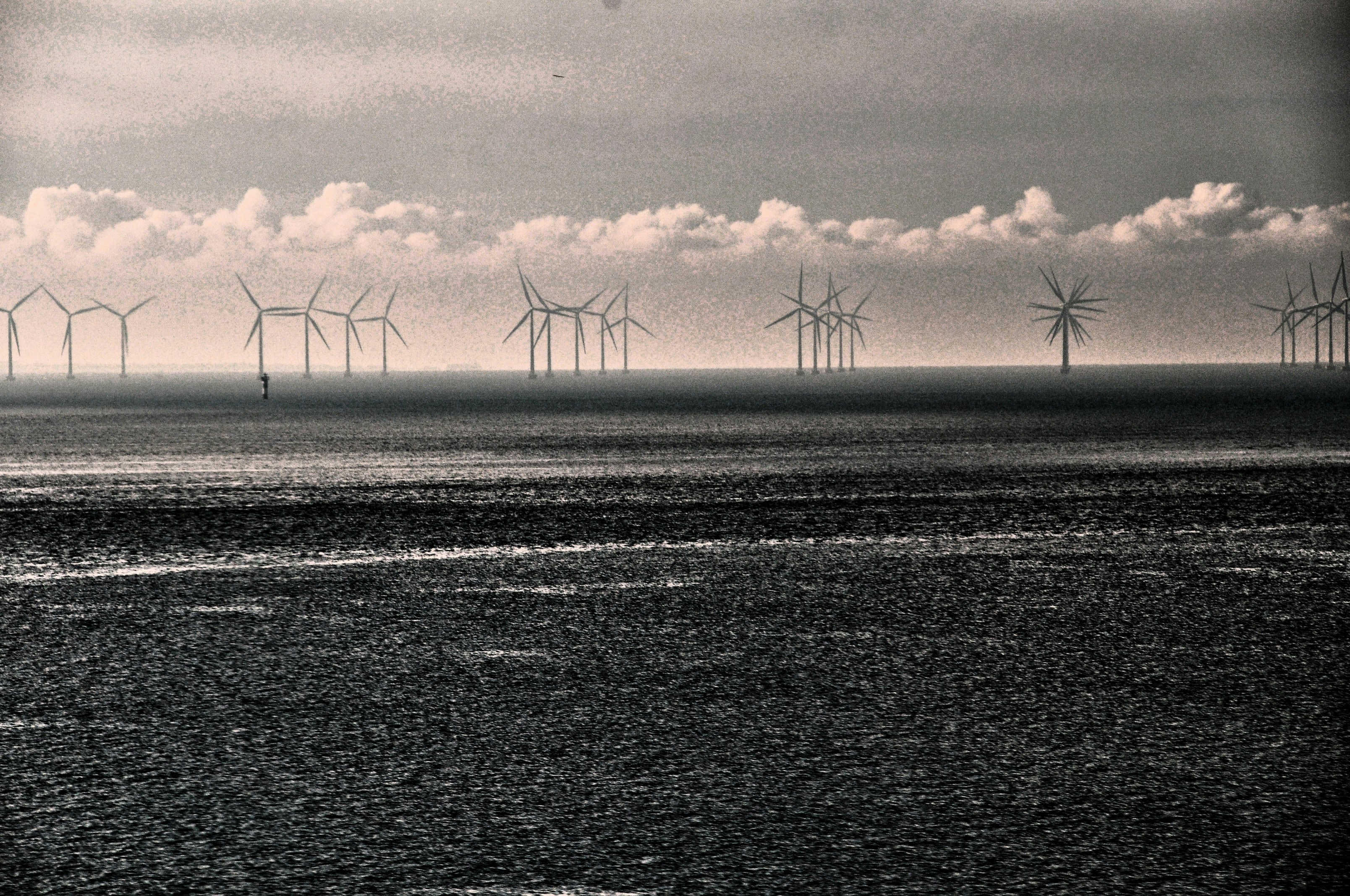 Photo by PJ Soans with Nikon D5000