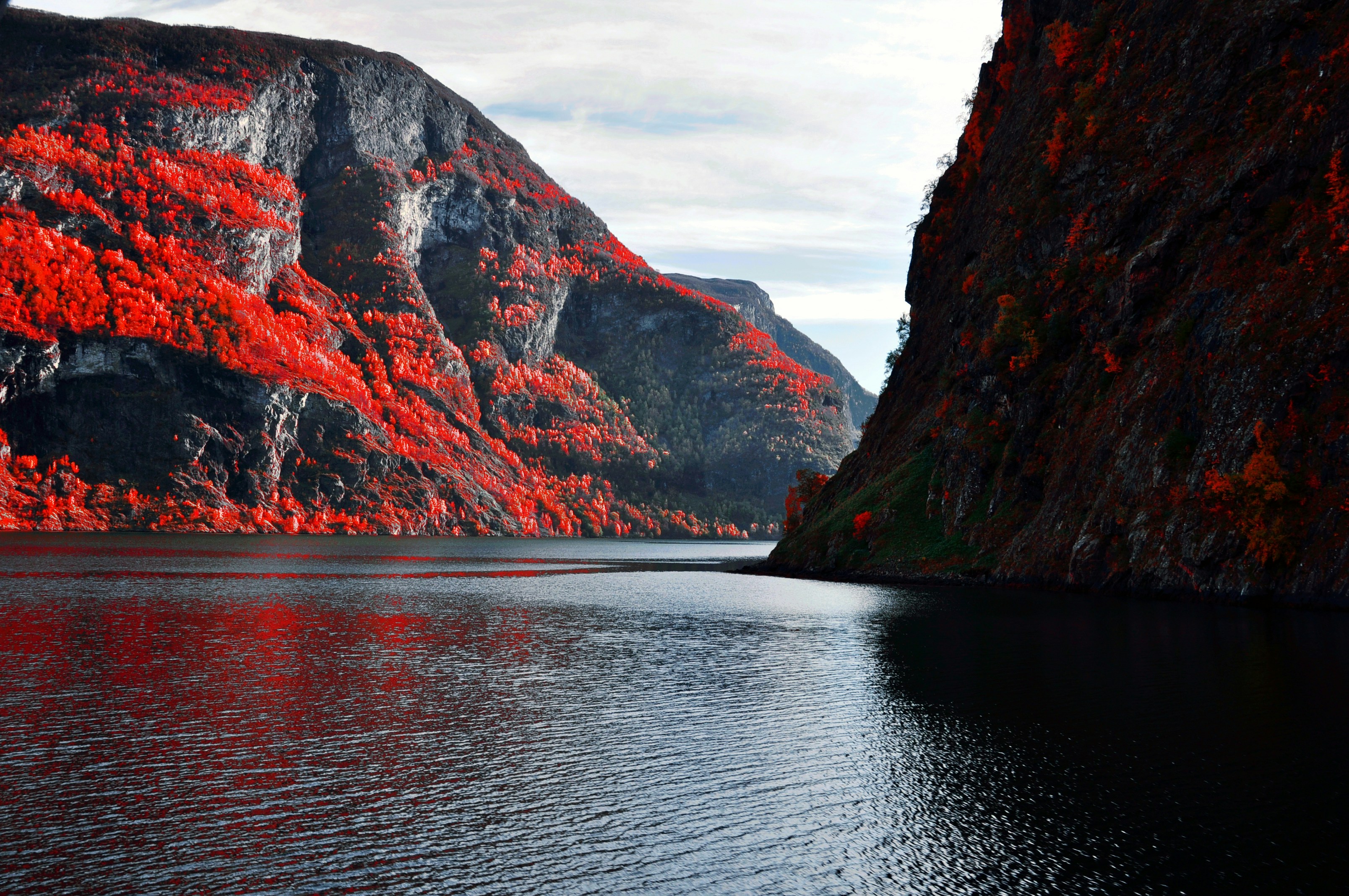 Photo by PJ Soans with Nikon D5000