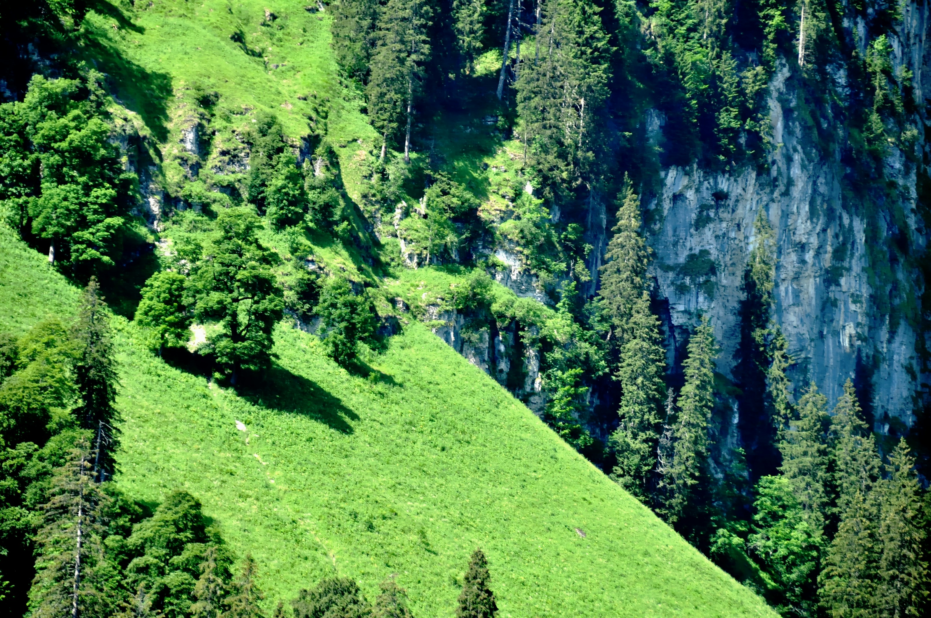 Photo by PJ Soans with Nikon D5000