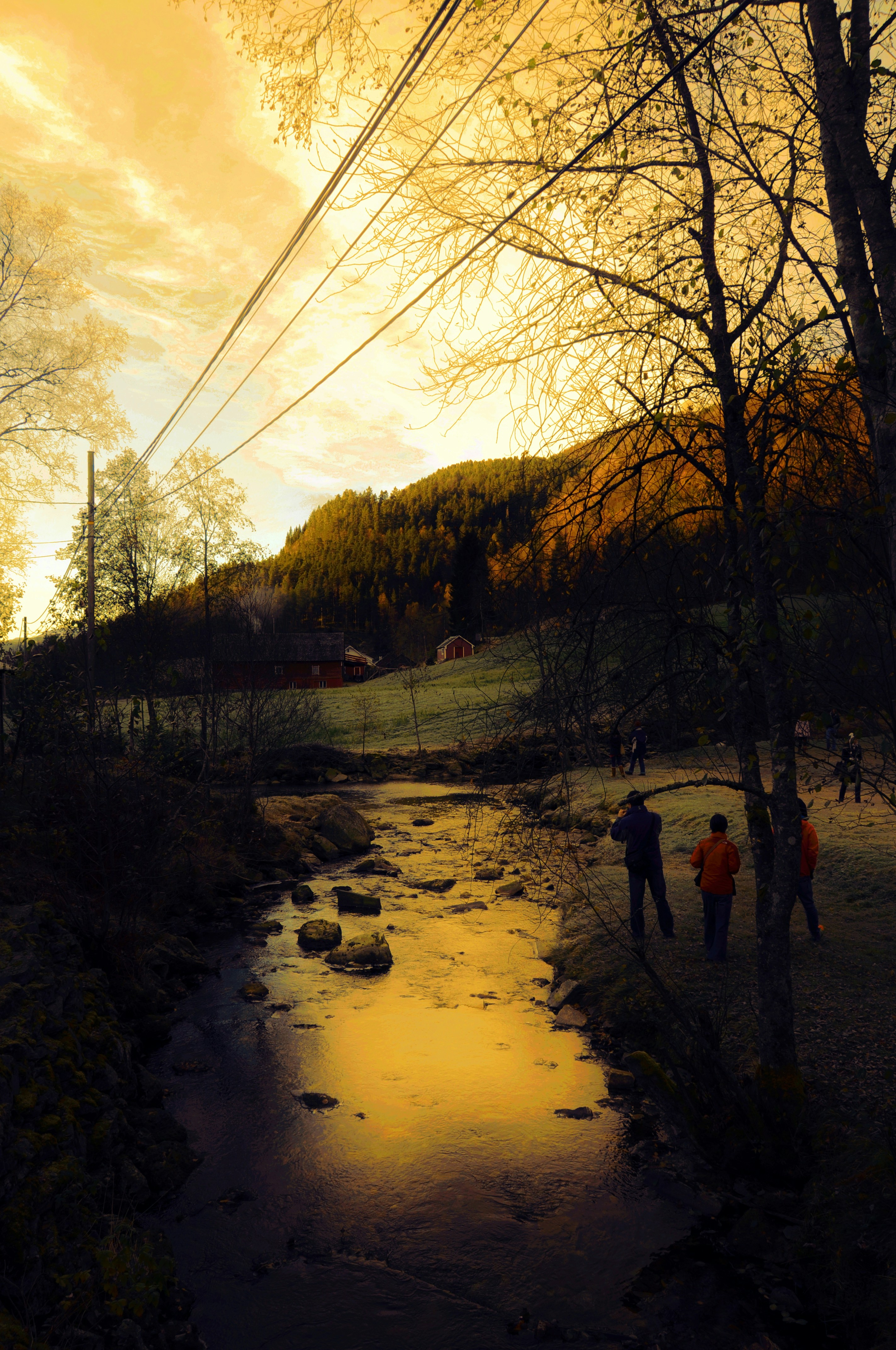 Electric Gold Over the Riverside: A Quiet Valley Under Diagonal Wires
