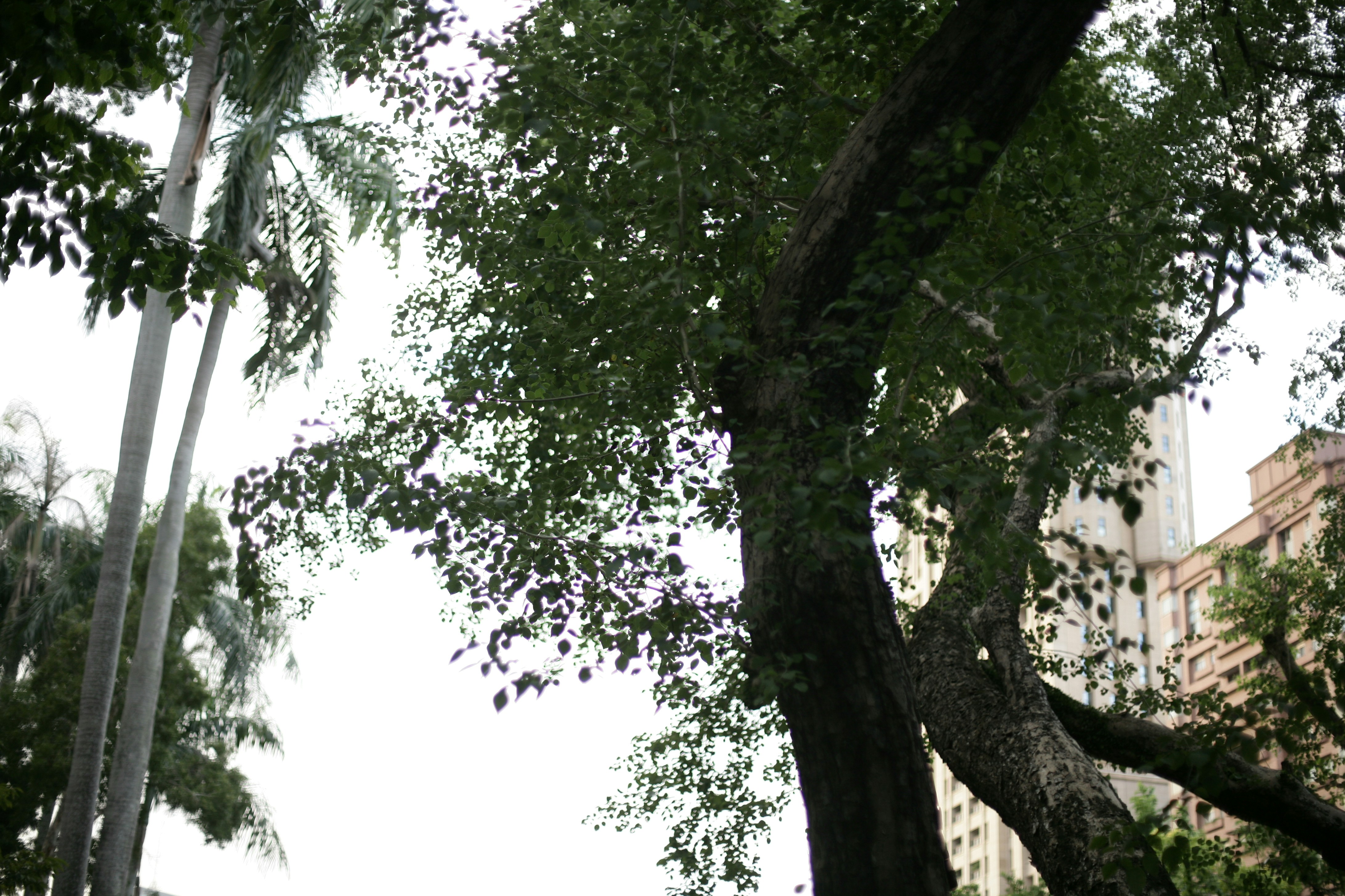 Photo by MChe Lee with CANON EOS 5D