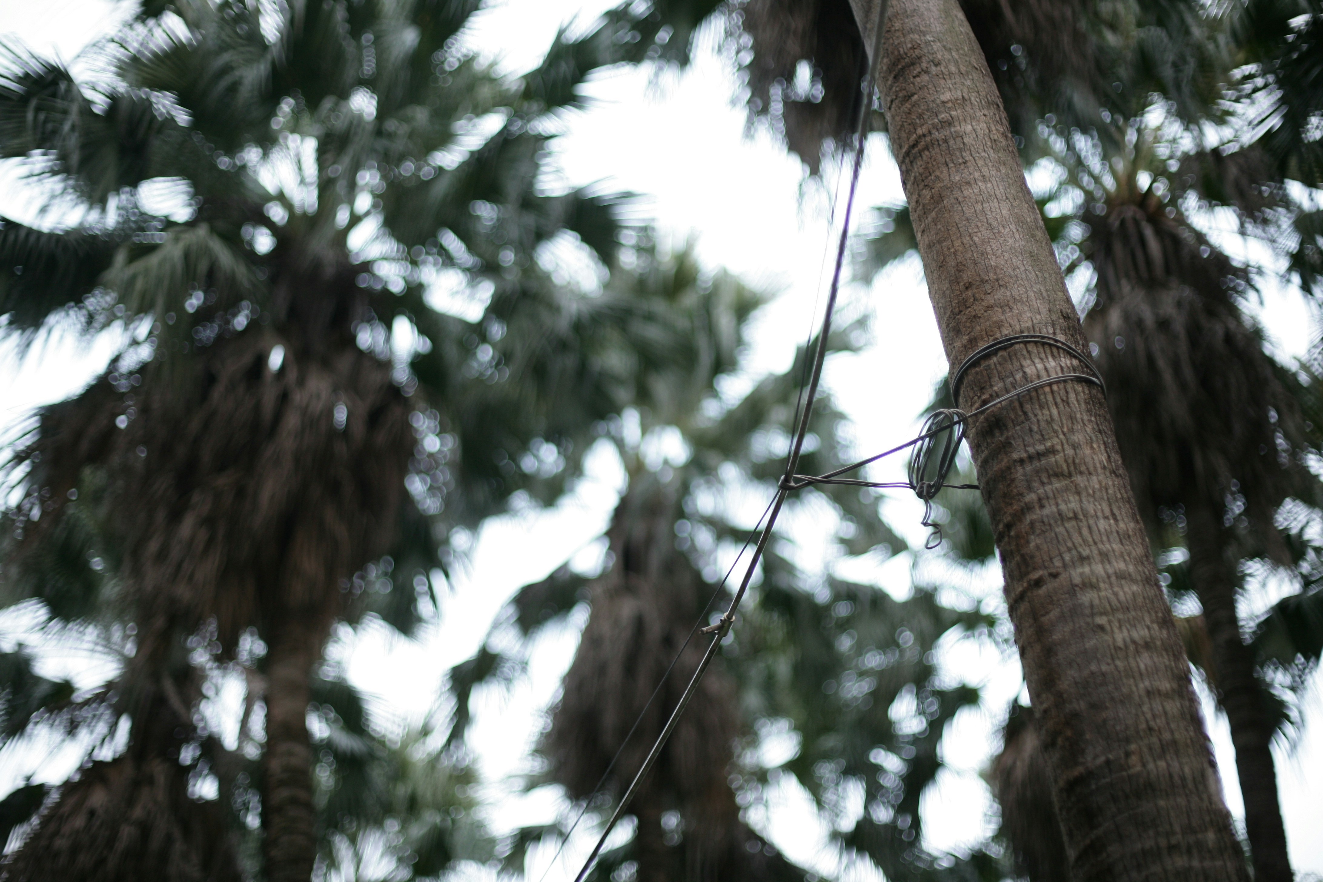 Photo by MChe Lee with CANON EOS 5D