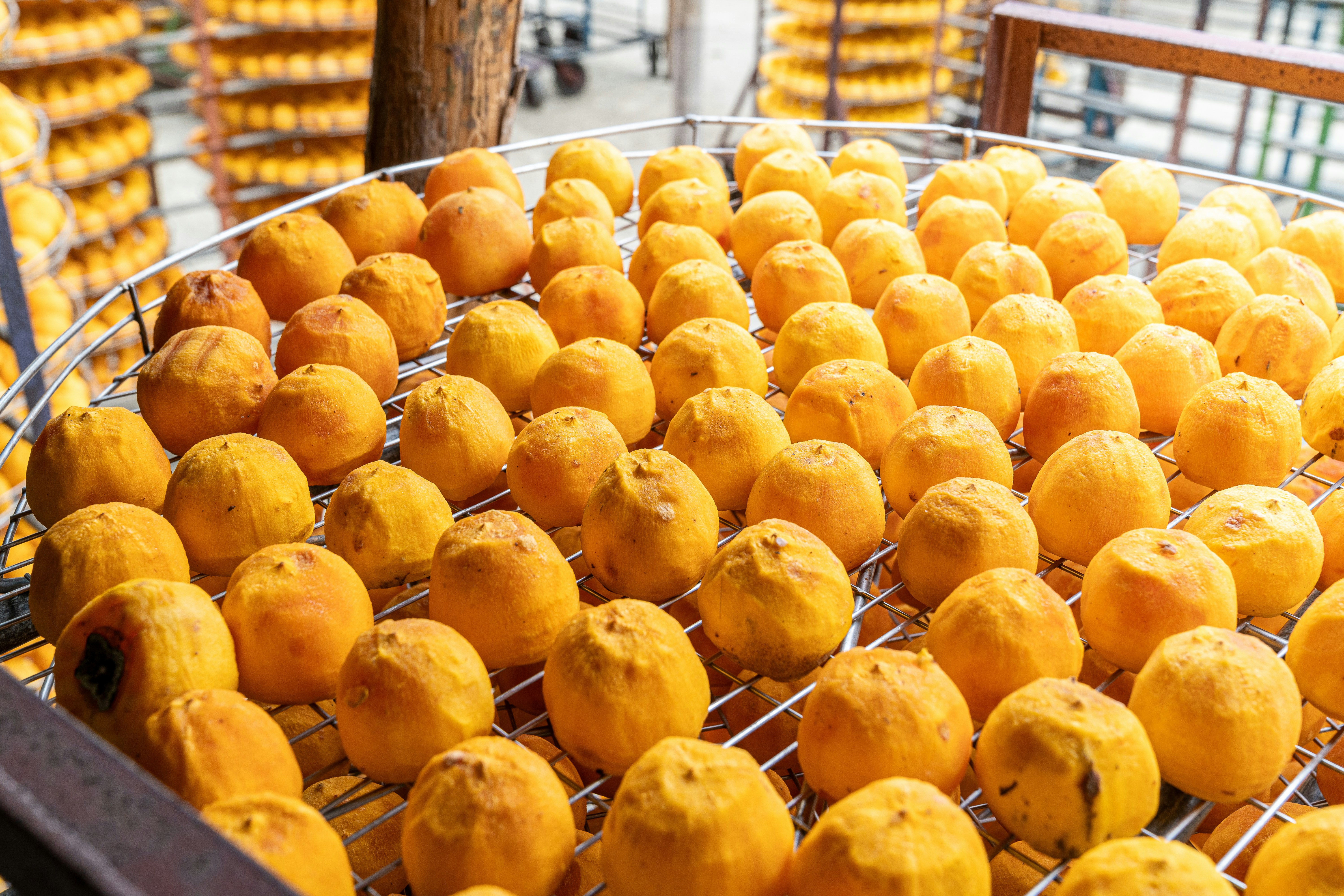 Golden Citrus Grid: Rows of Sunlit Orbs Drying on a Metal Rack