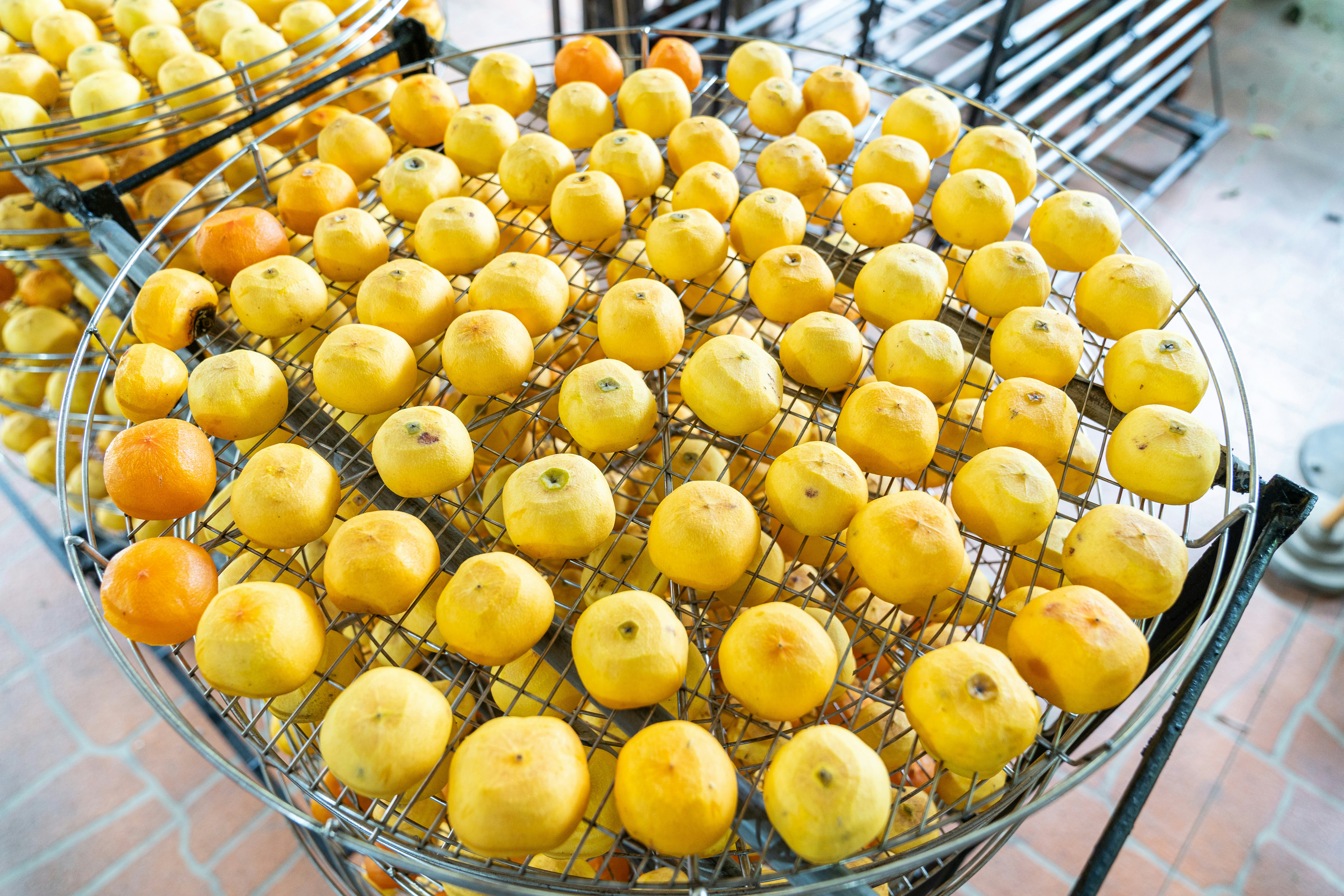 Photo by Winston Chen with Sony Alpha 7 III