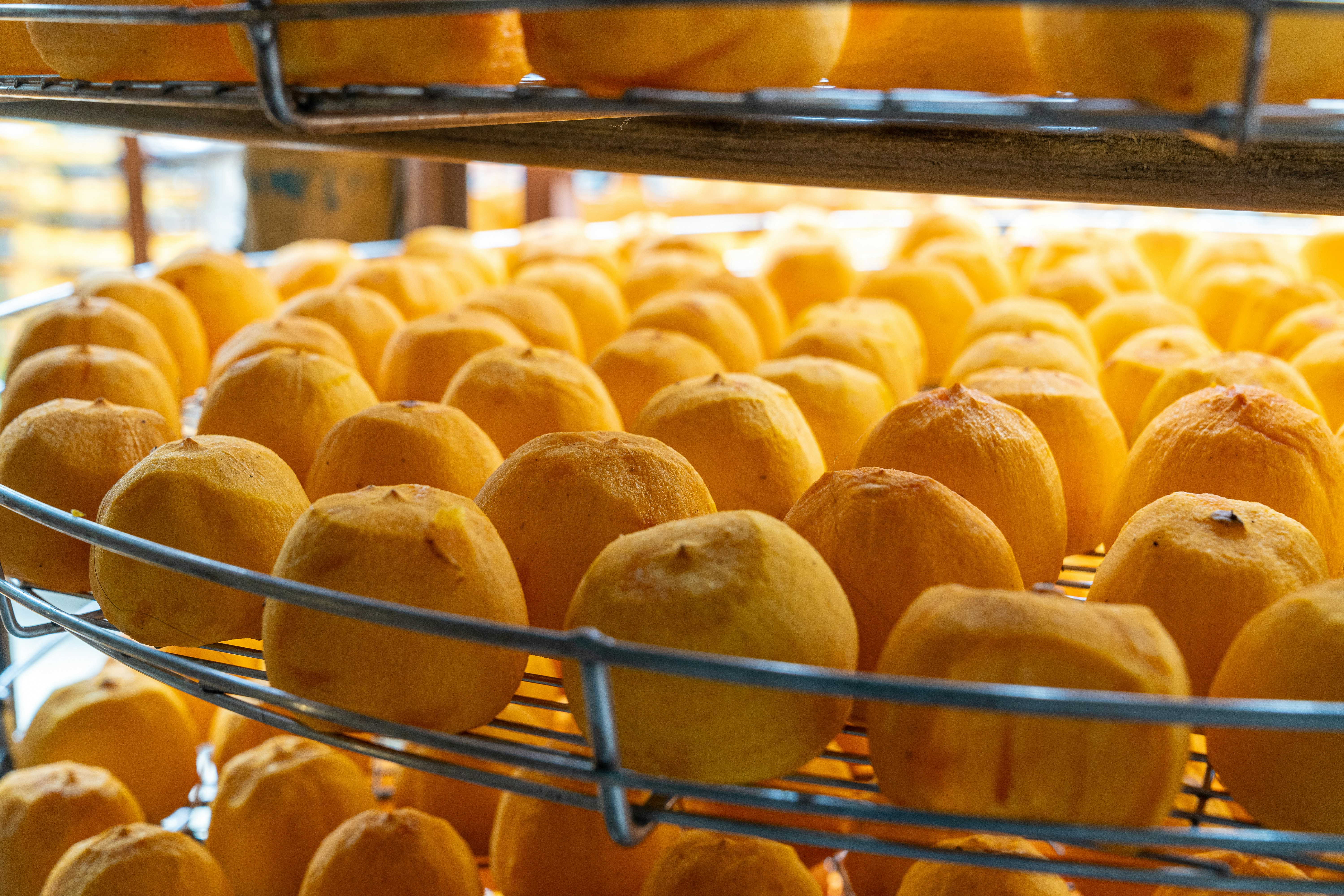 Golden Apricots on a Sunlit Drying Rack