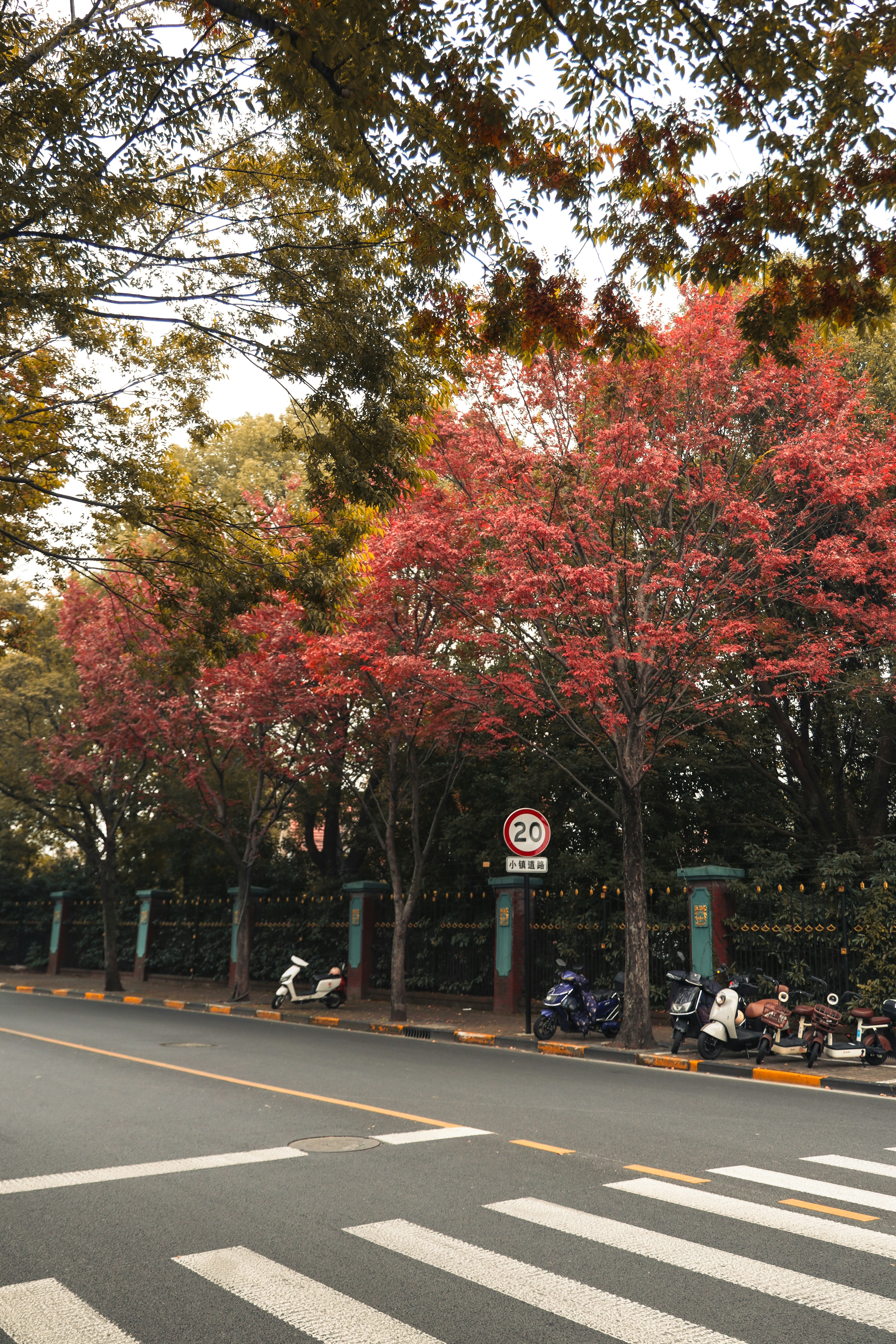 Photo by DOKYUNG KIM with Canon EOS R