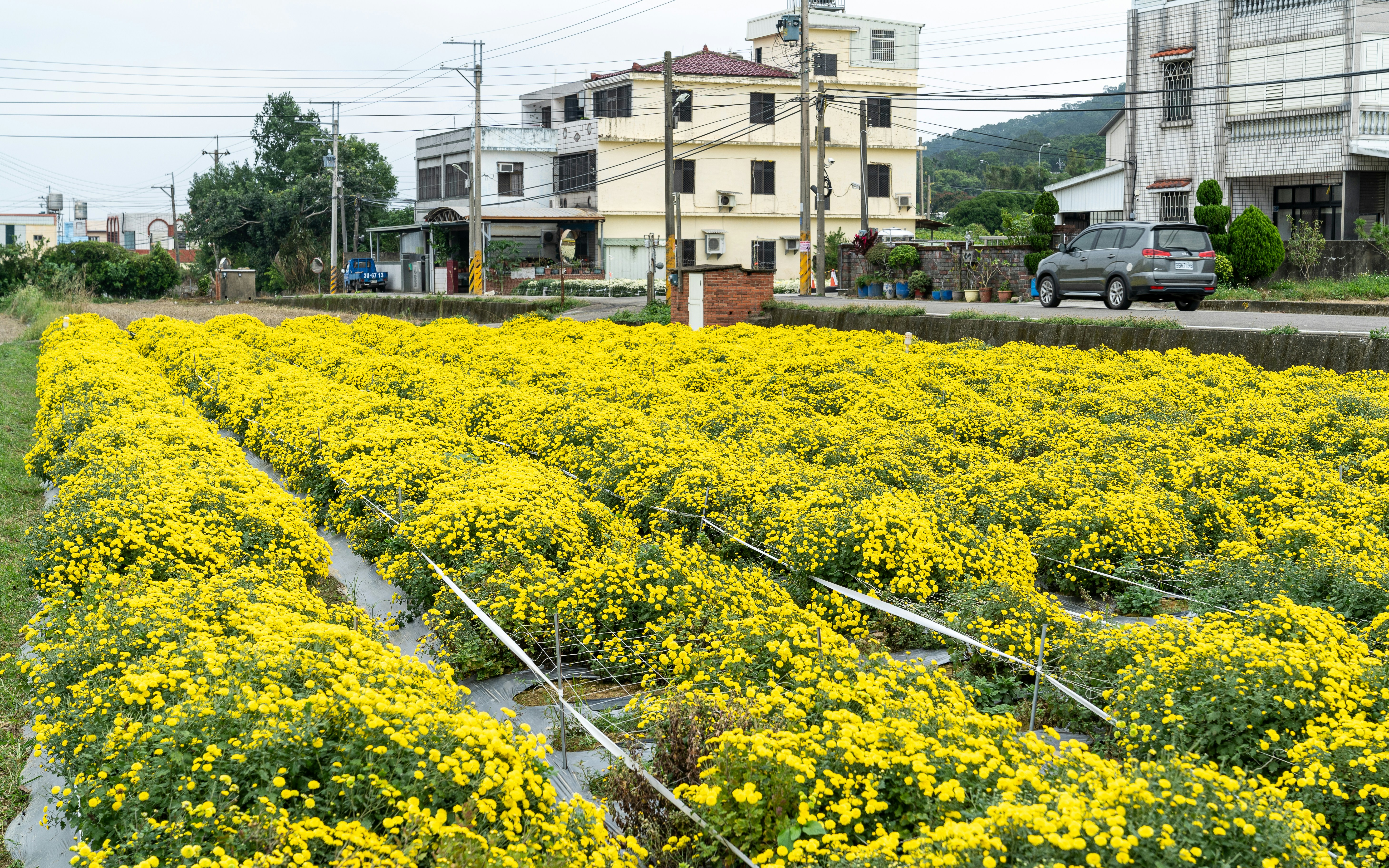 Photo by Winston Chen with Sony Alpha 7 III