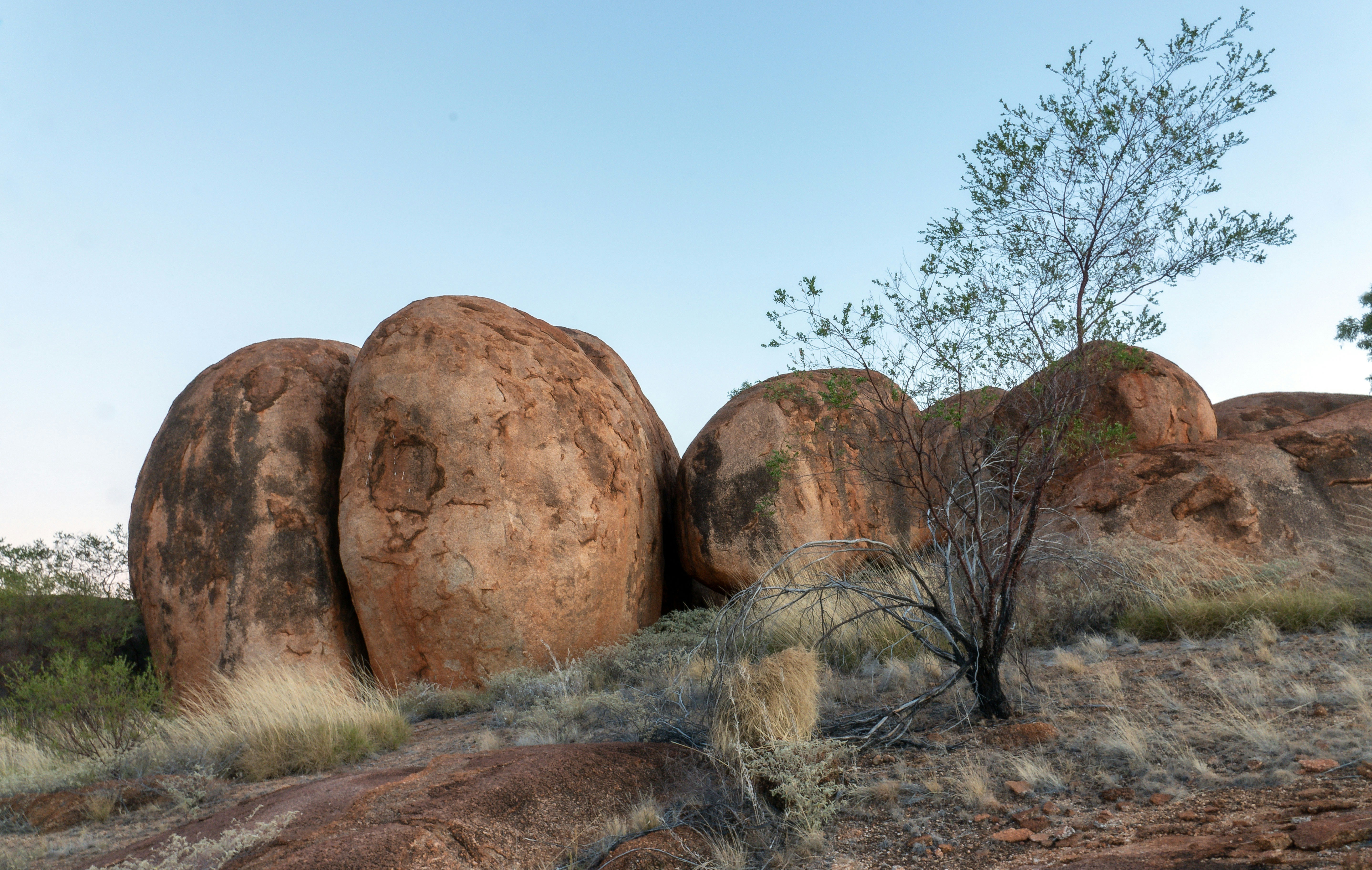 Photo by Wietse Jongsma with Sony Cyber-shot RX10 IV