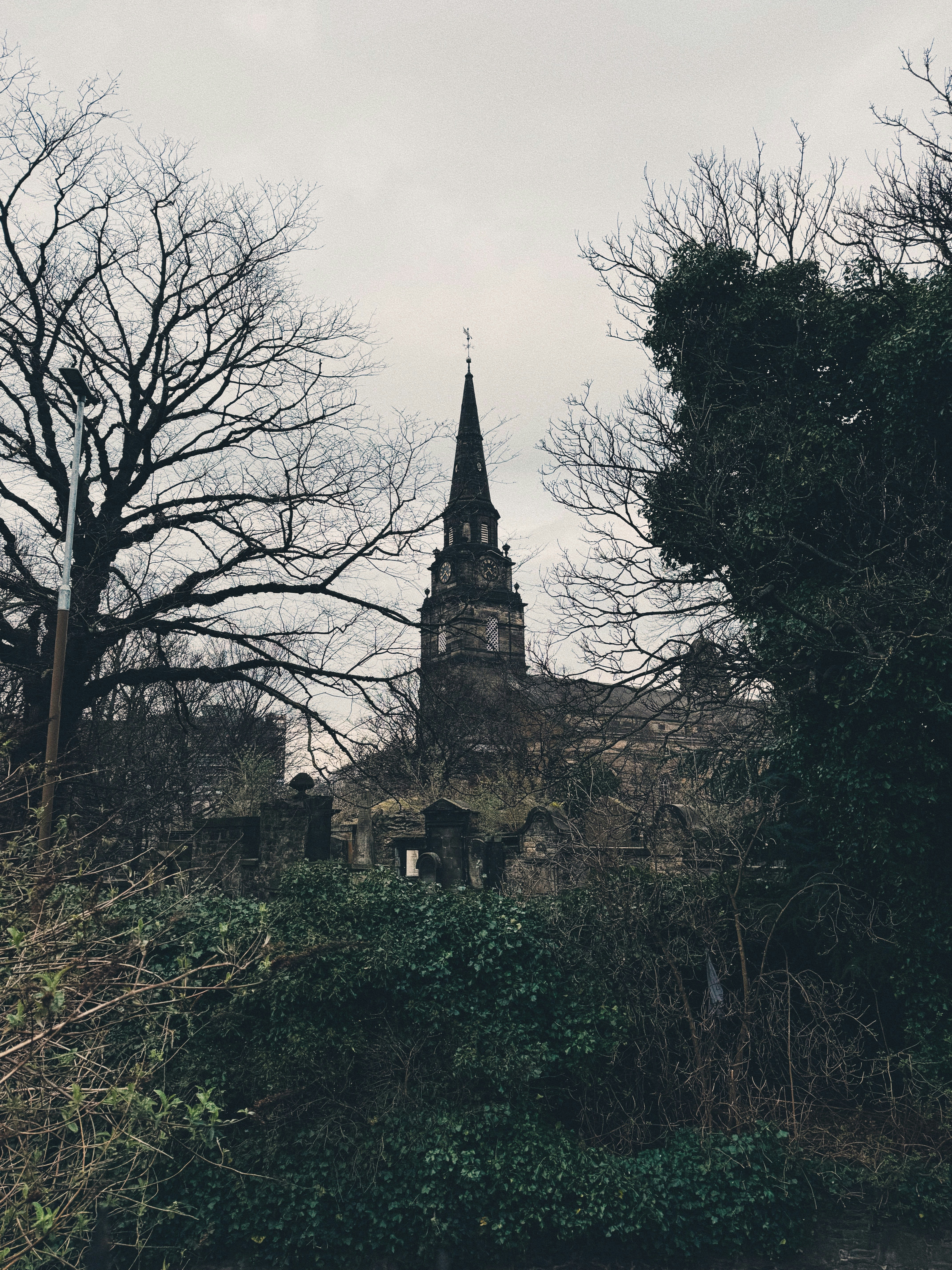 Winter Spire: A Gothic Clock Tower Rises Through Bare Branches
