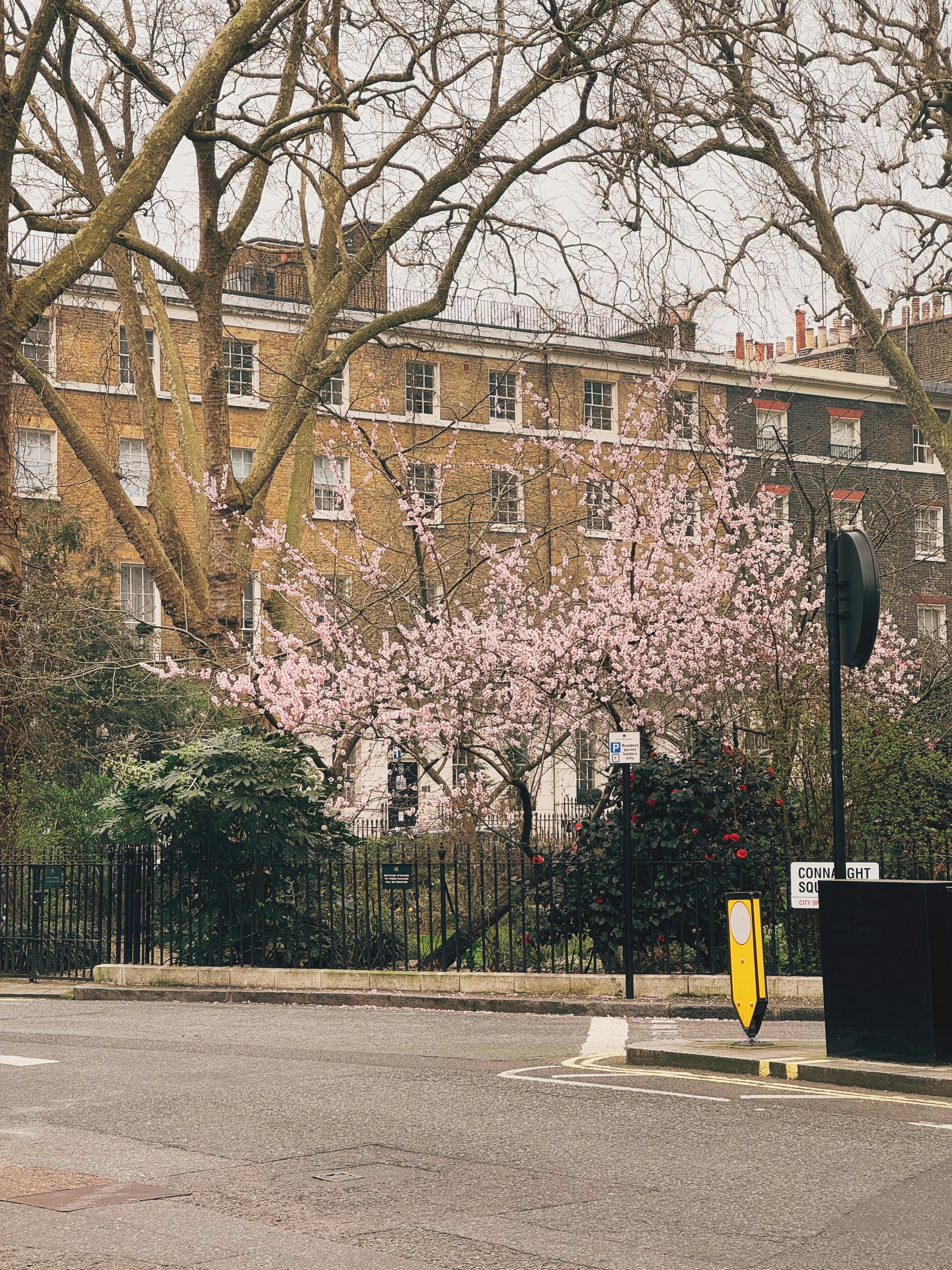 Photo by Anastasiia Derkunskaia with Apple iPhone 15 Pro