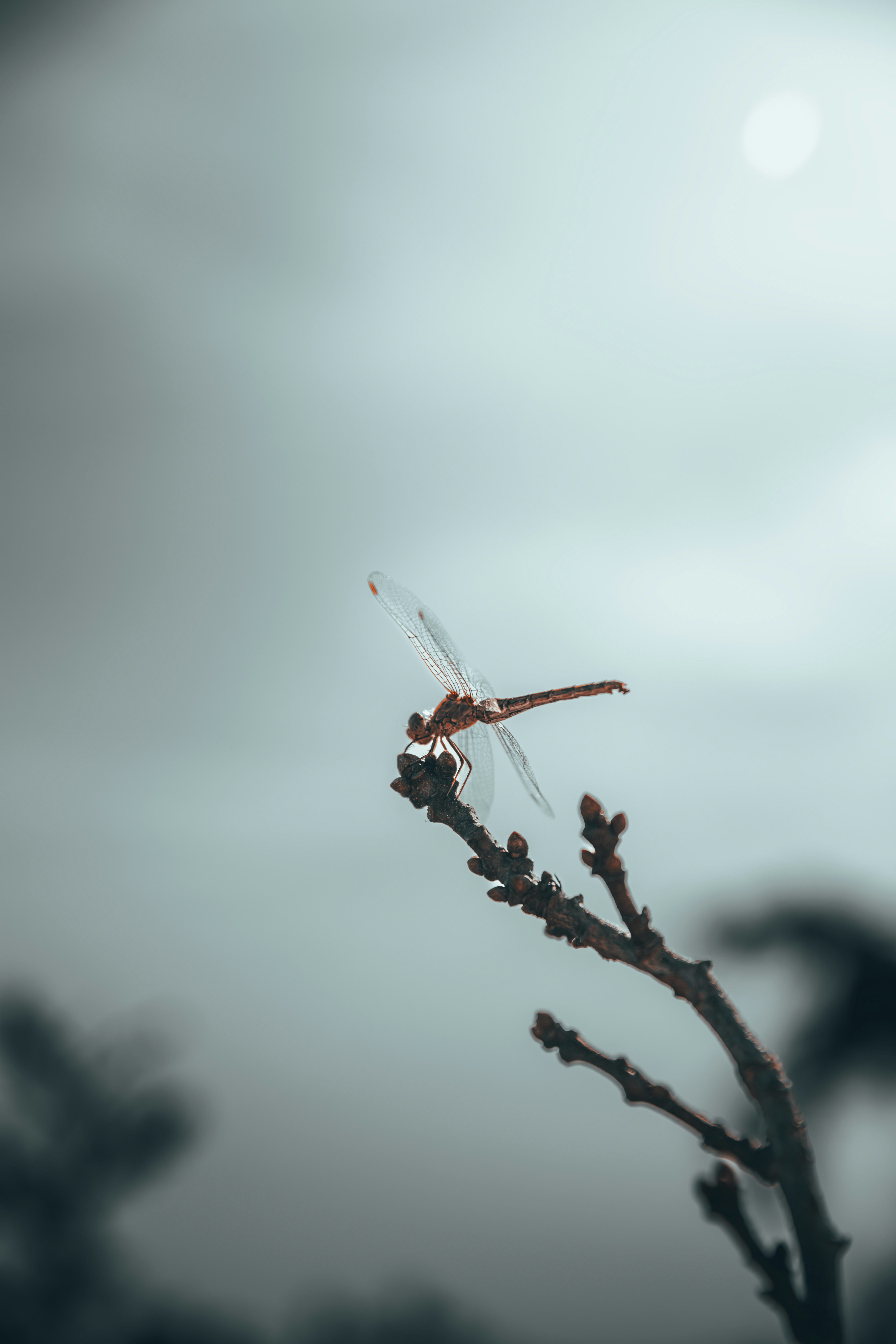 Photo by Ryan Klaus with Canon EOS 5D Mark IV