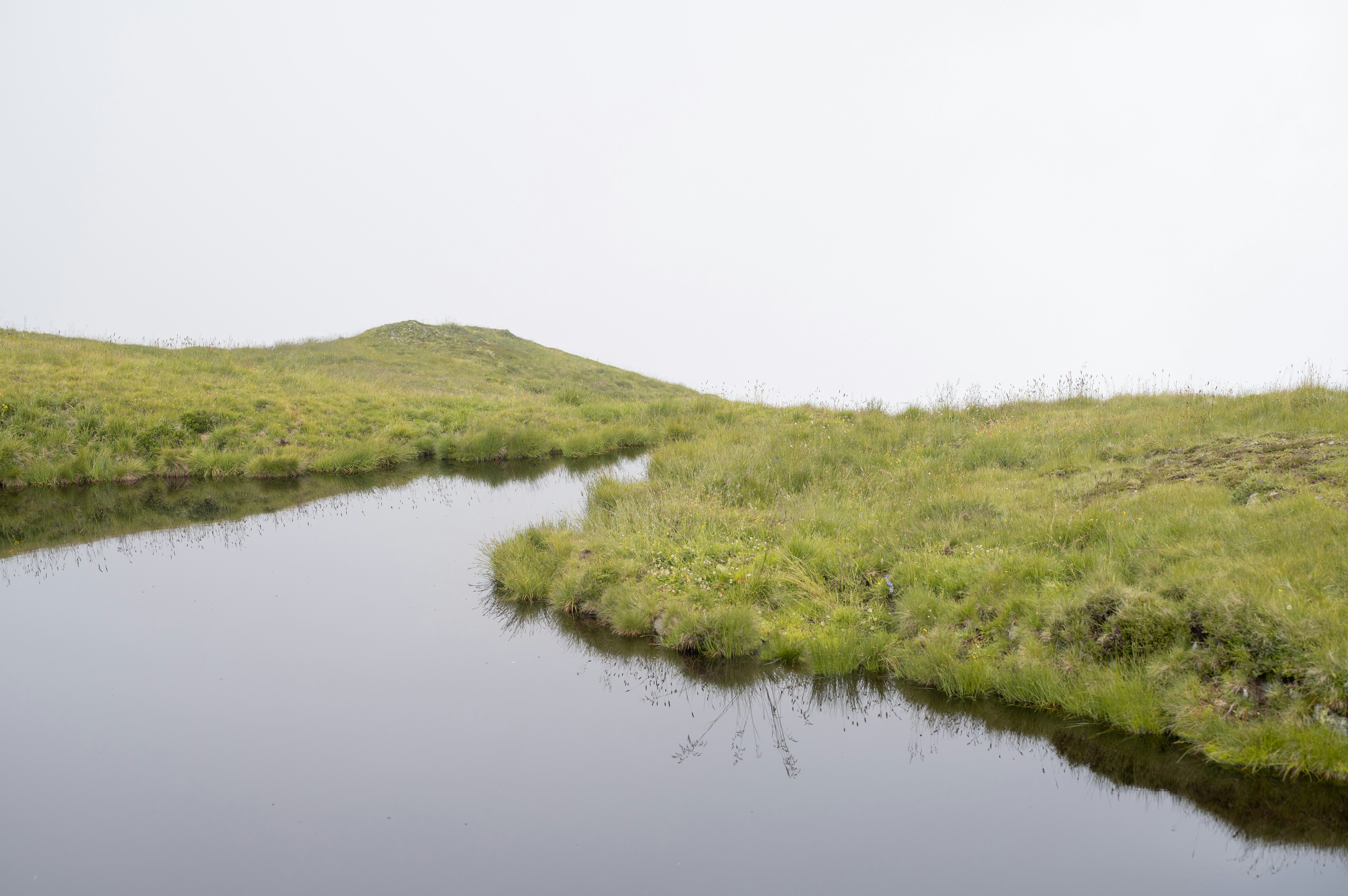 Photo by Melanie Weidmann with Nikon Z6 II