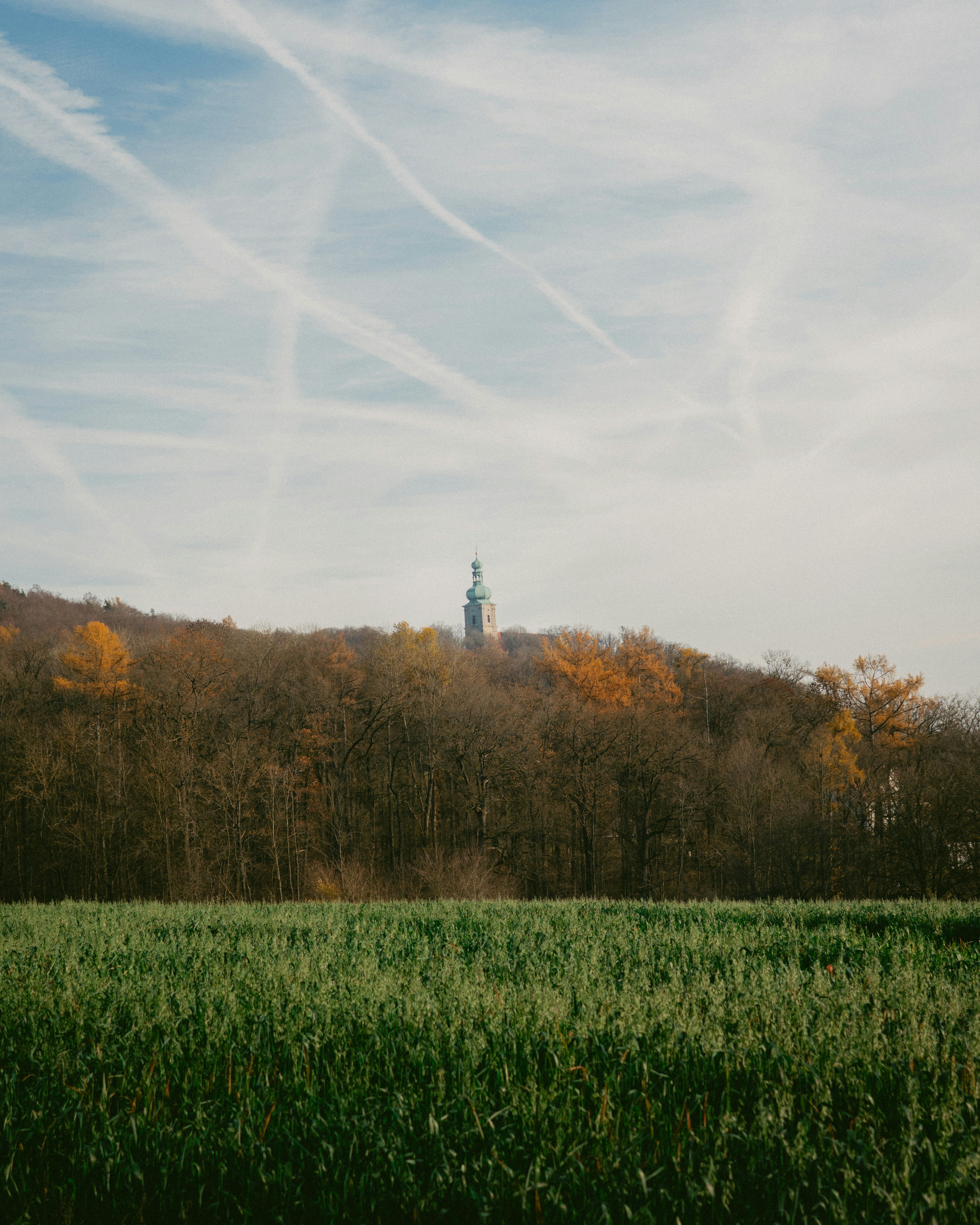 Hilltop Clocktower Amid Autumn Forest Under a Sky of Contrails