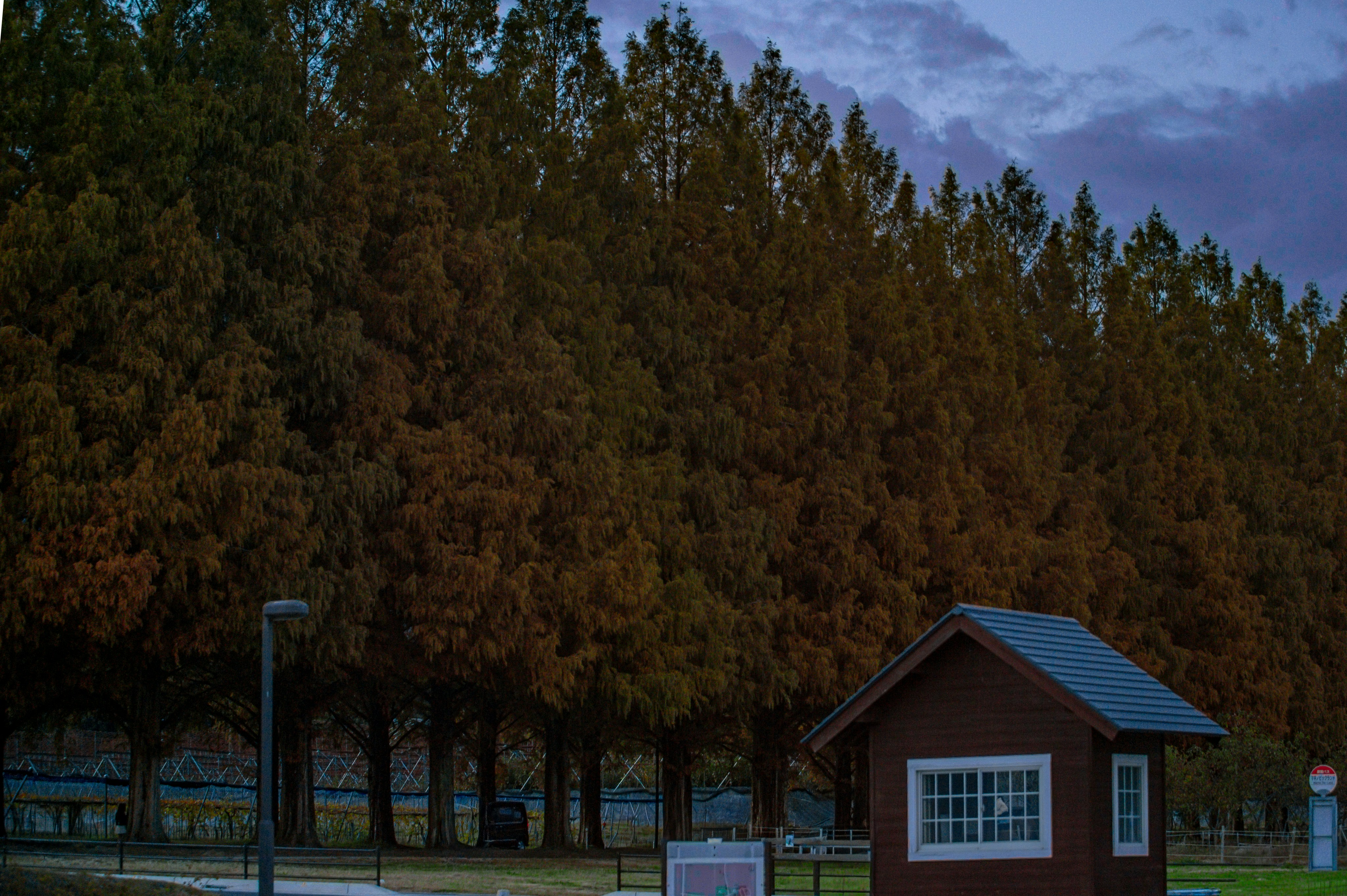 Dusk at the Amber Pines: Quiet Park Shelter by the Fence