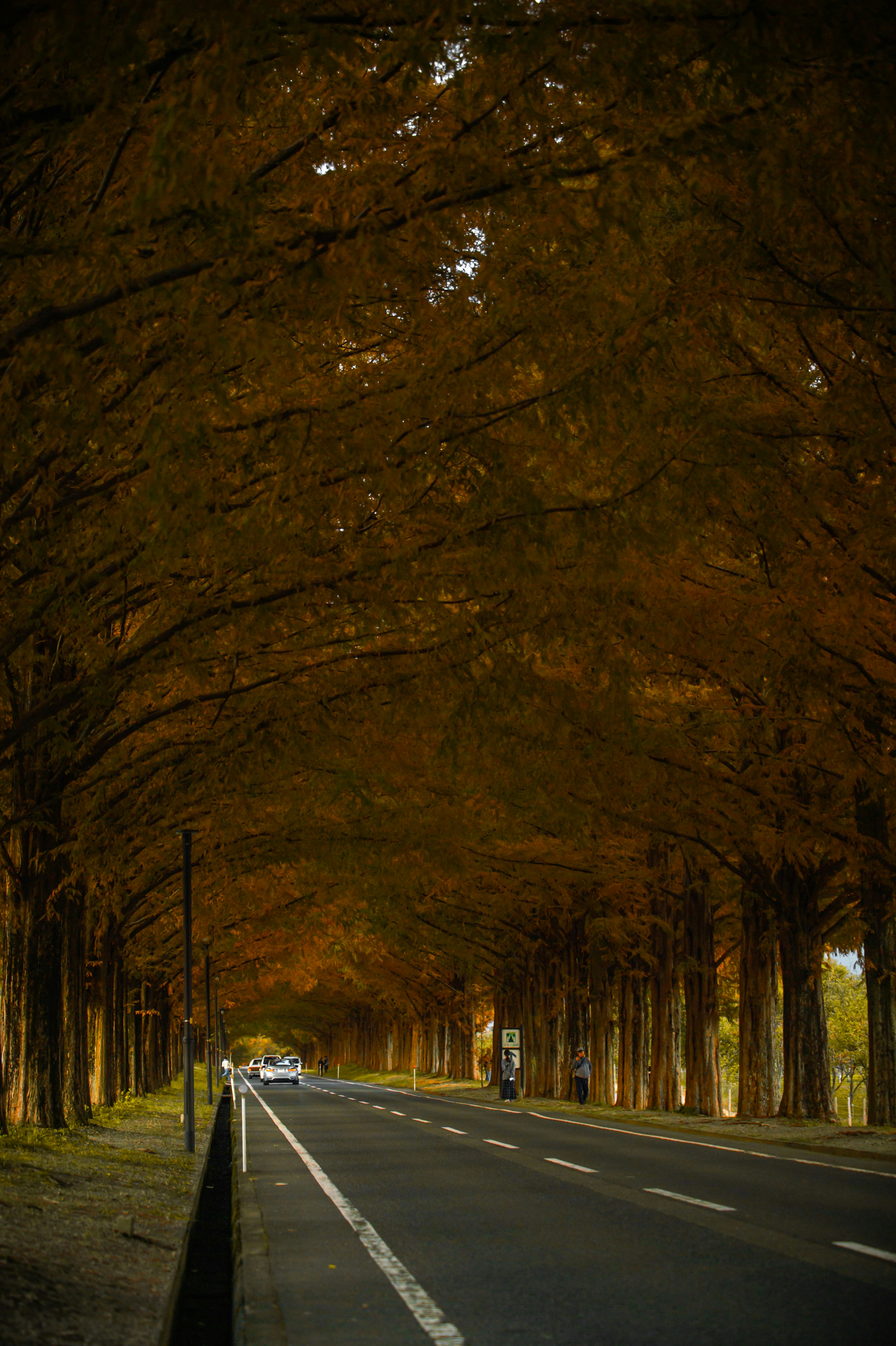 Photo by 5010 with Nikon Df