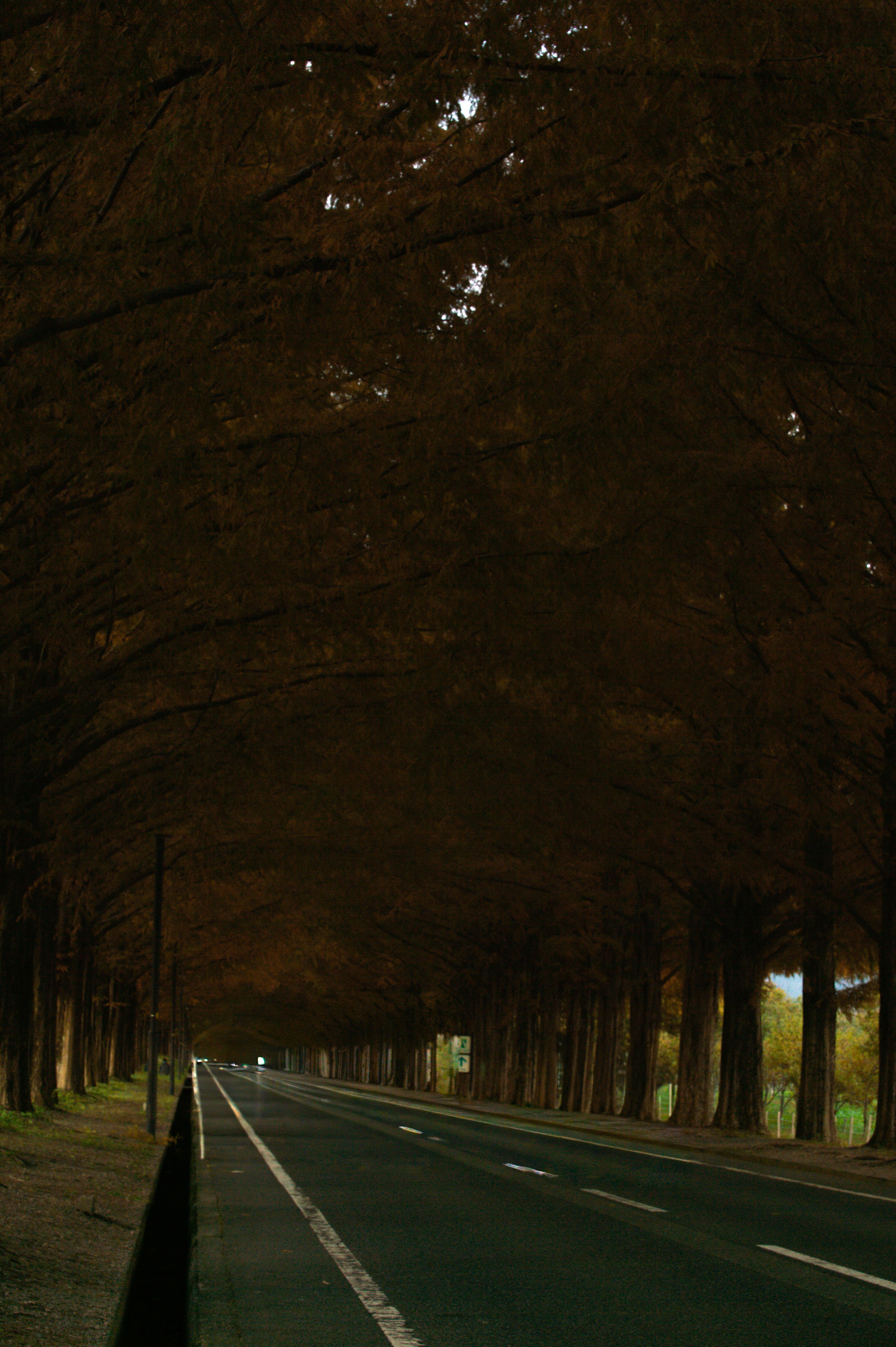 Photo by 5010 with Nikon Df