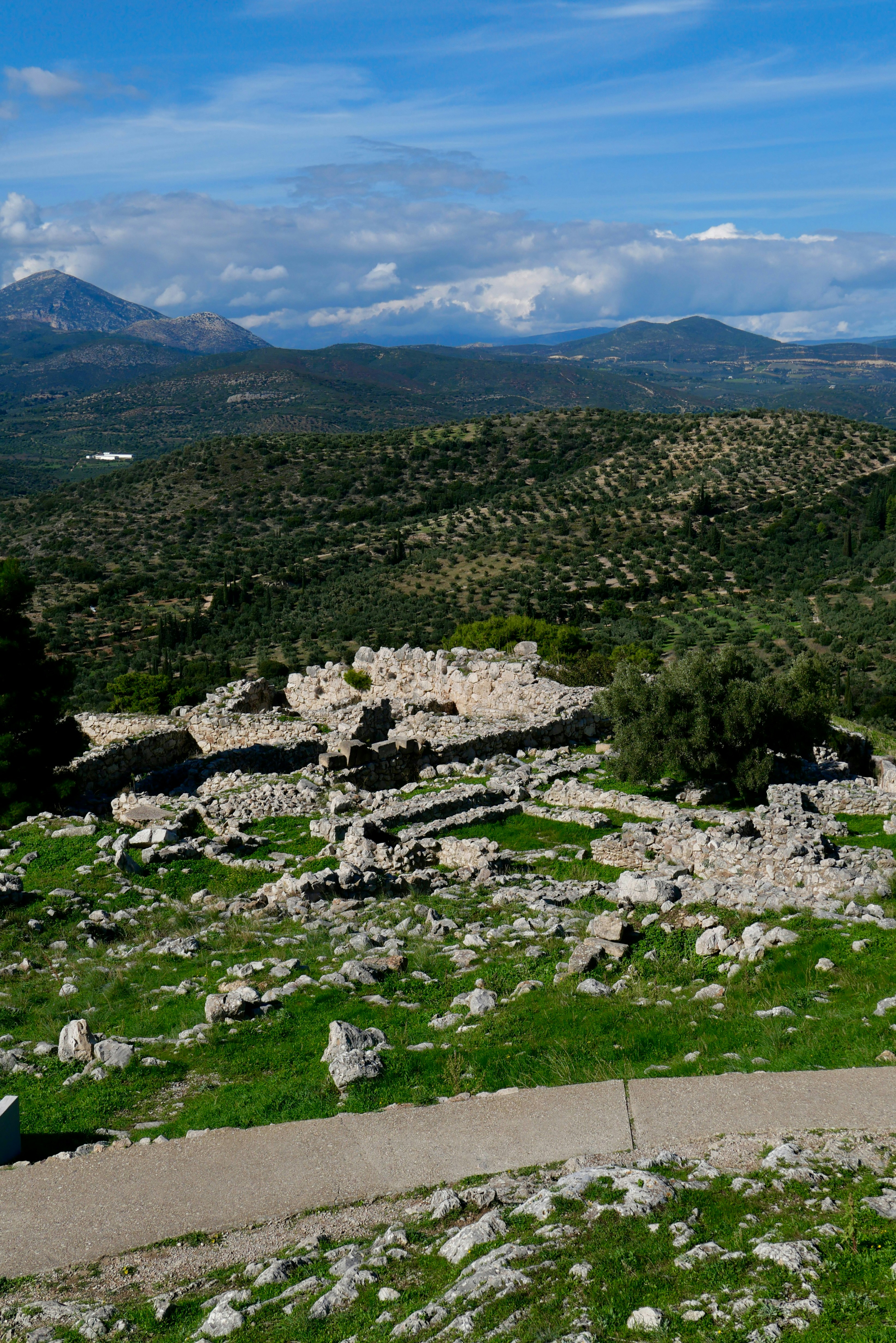 Photo by Satvik with Leica D-Lux 8