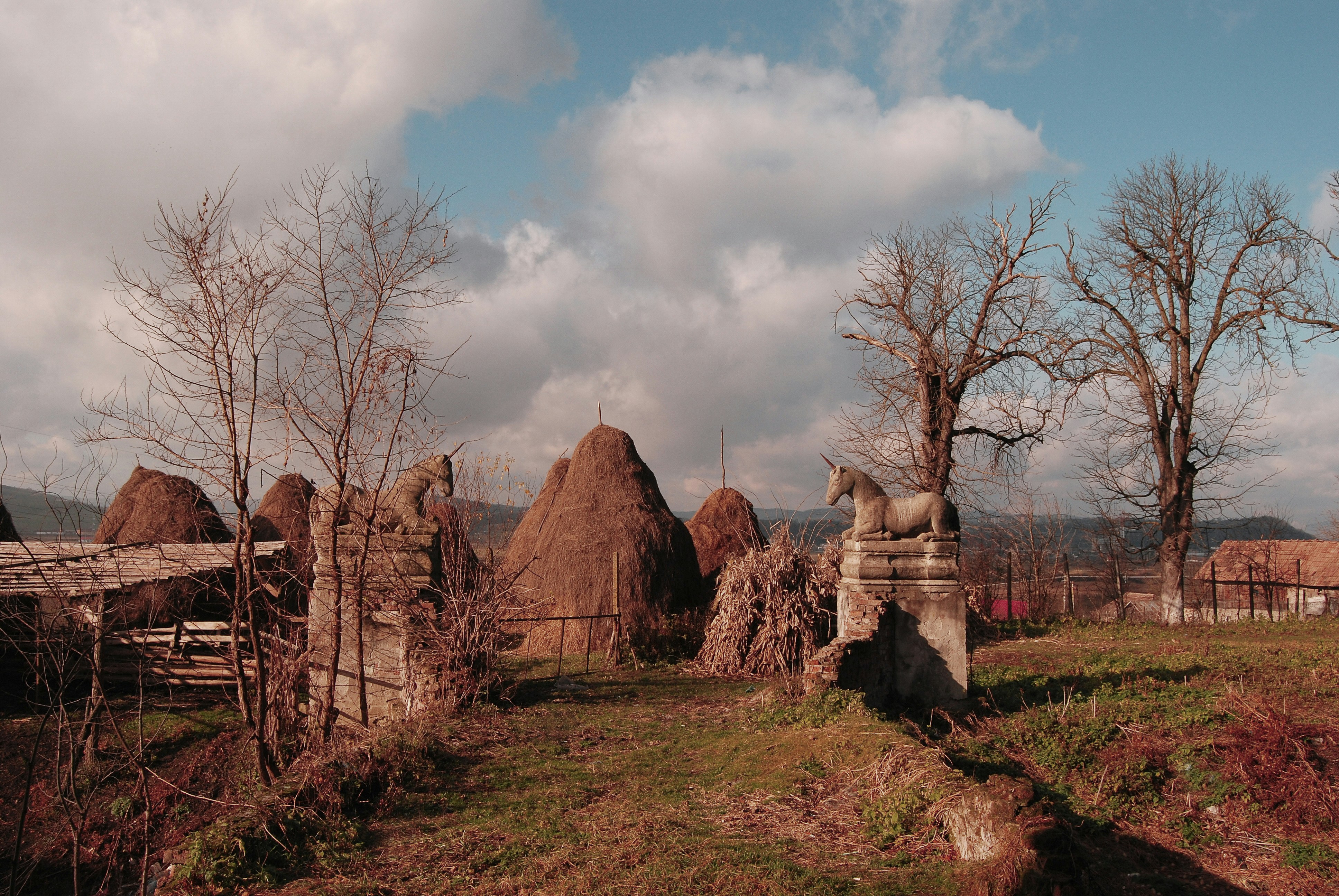 Haystacks and bare trees in a rural landscape. photo – Free Farm Image ...