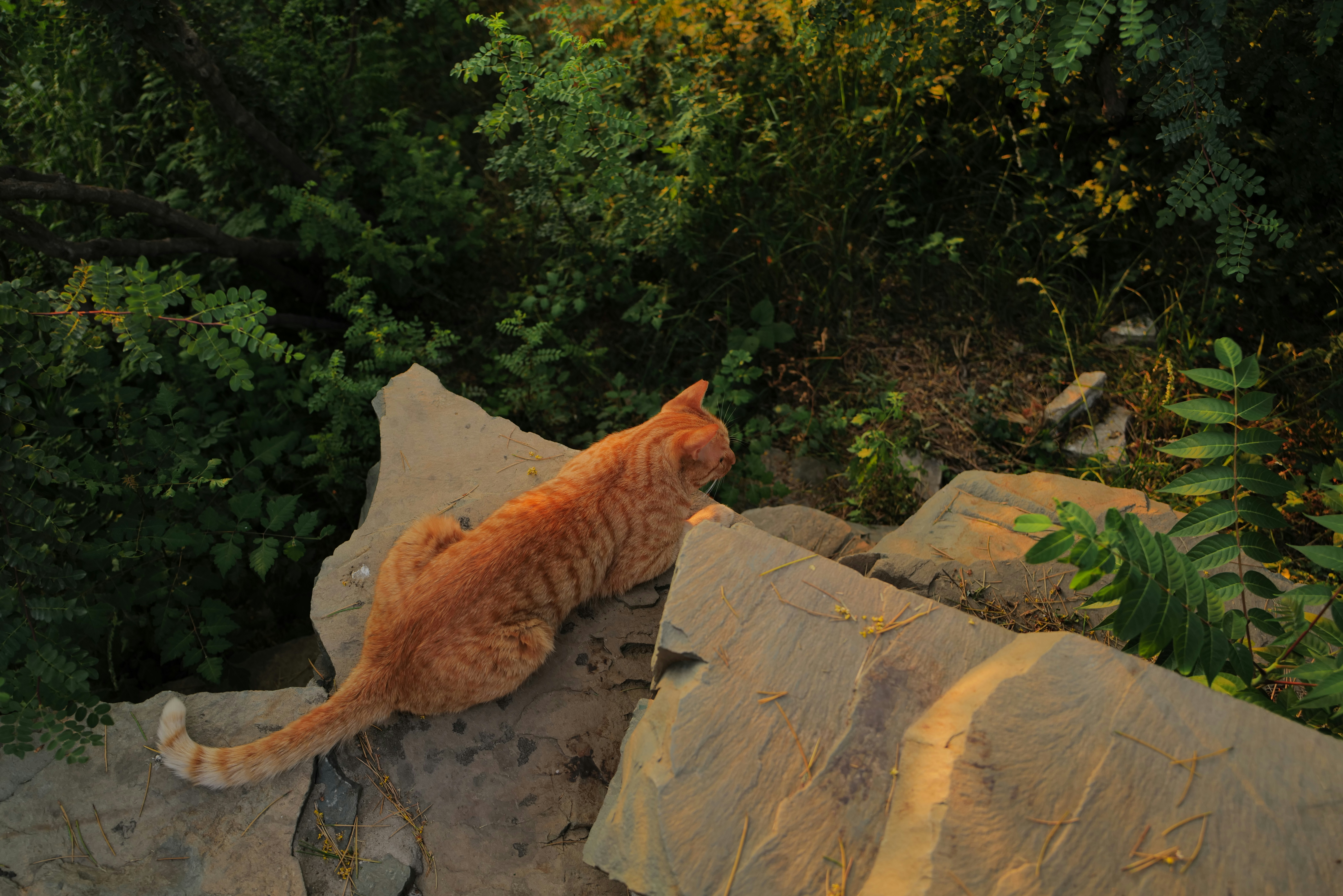 Photo by Joe Yu with Leica Q2