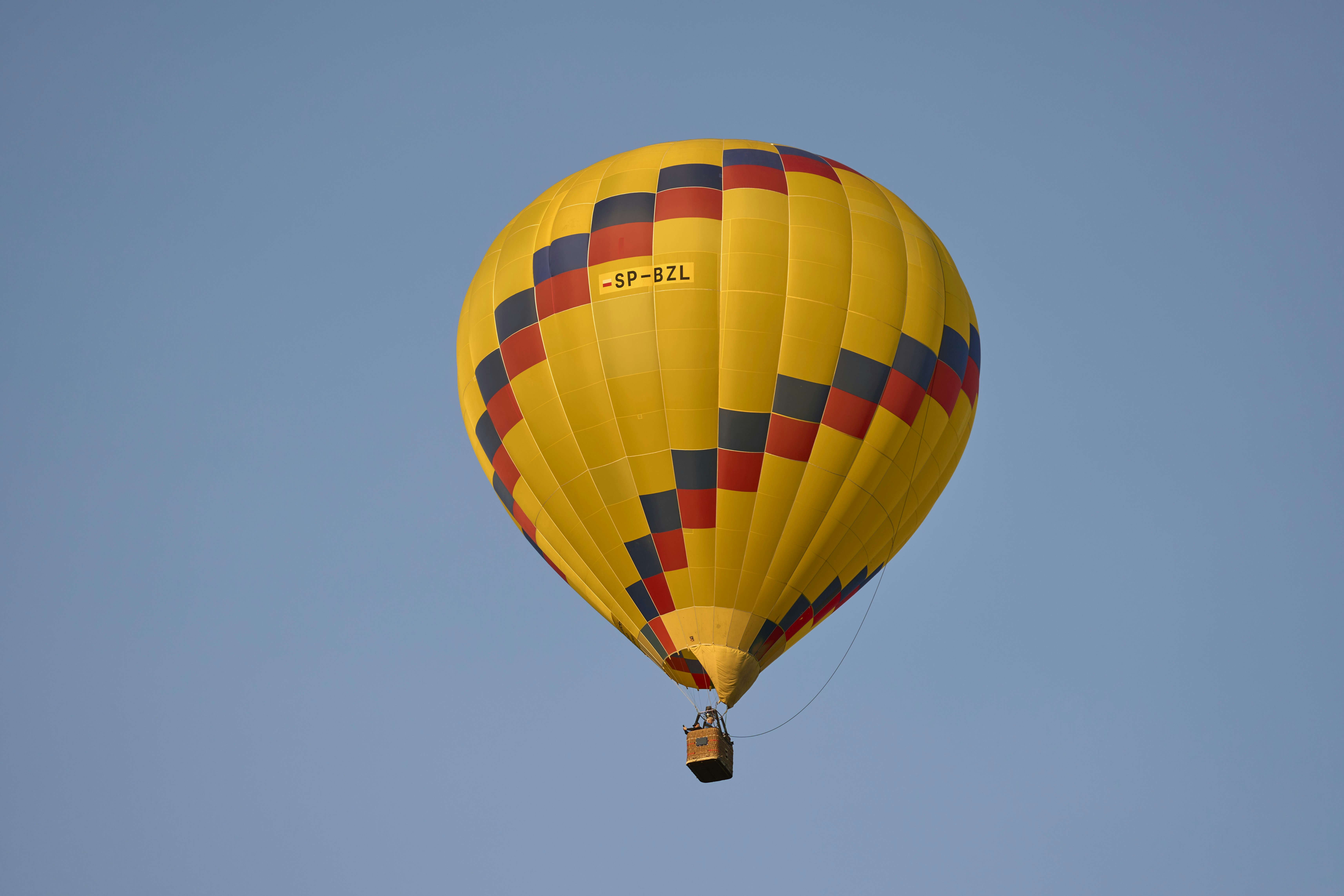 Photo by Wolfgang Hasselmann with Sony Alpha 7 IV