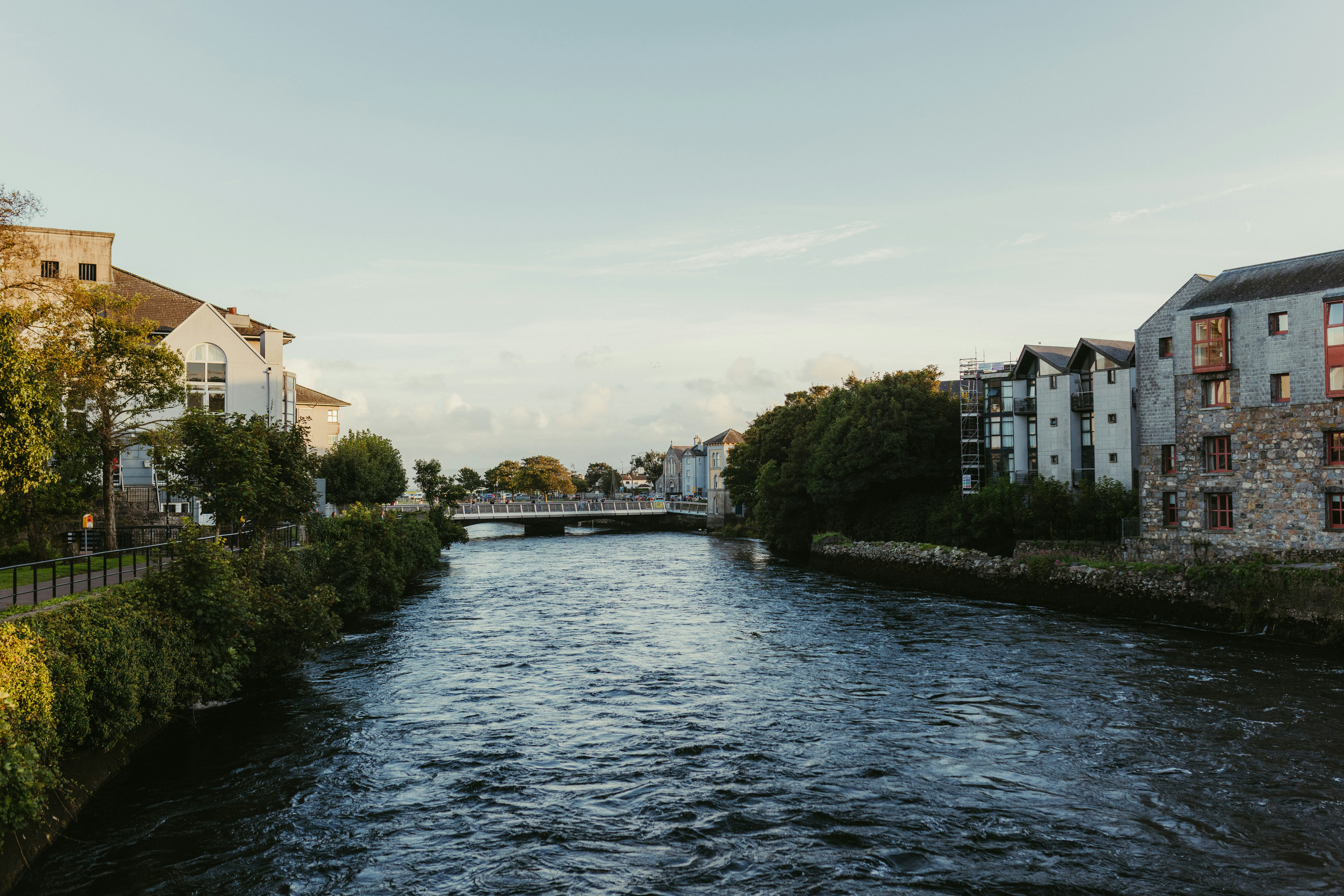 Photo by Jonathan Borba with Canon EOS R5