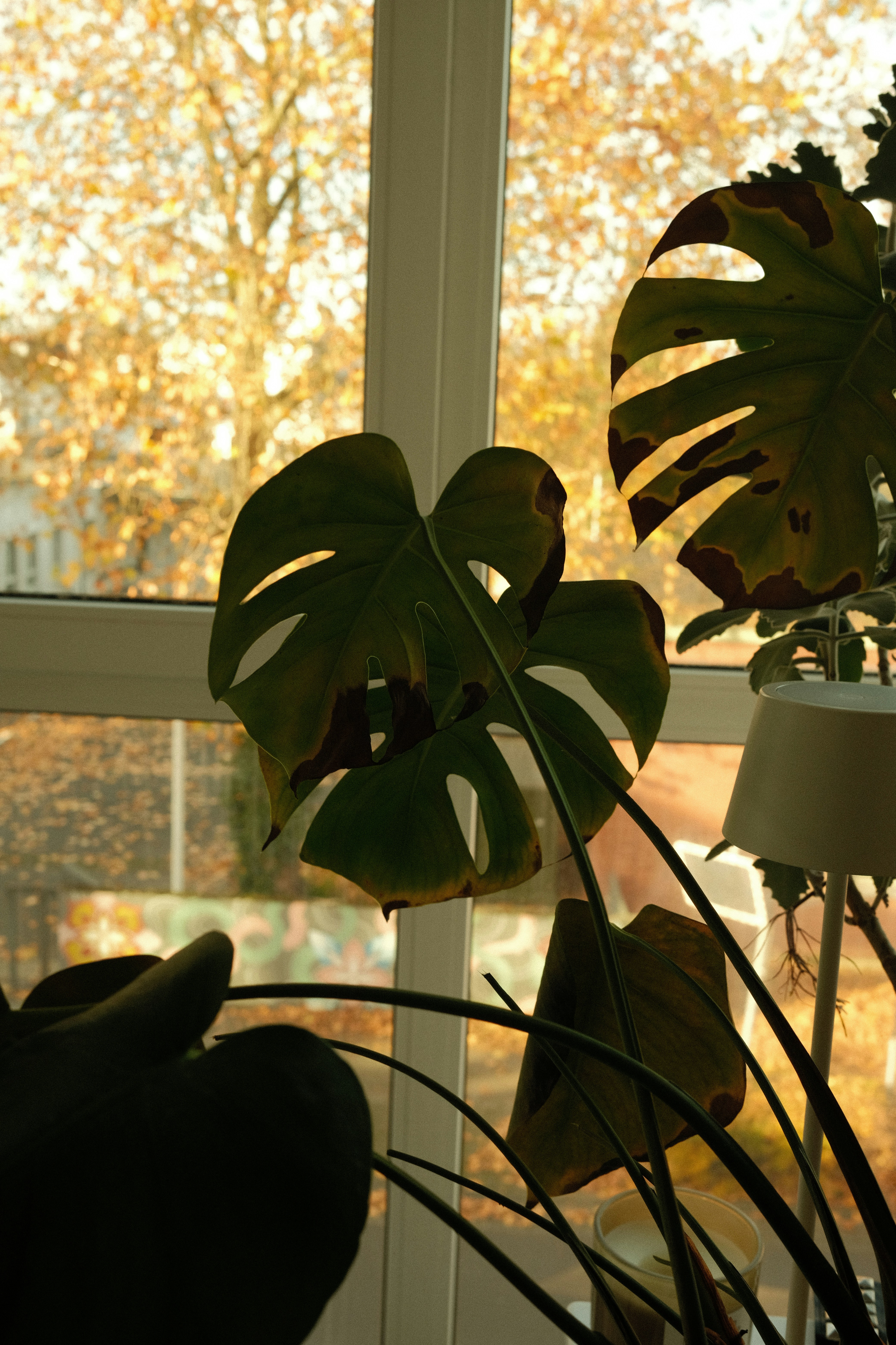 Photo by Tim Raderschad with Fujifilm X100V