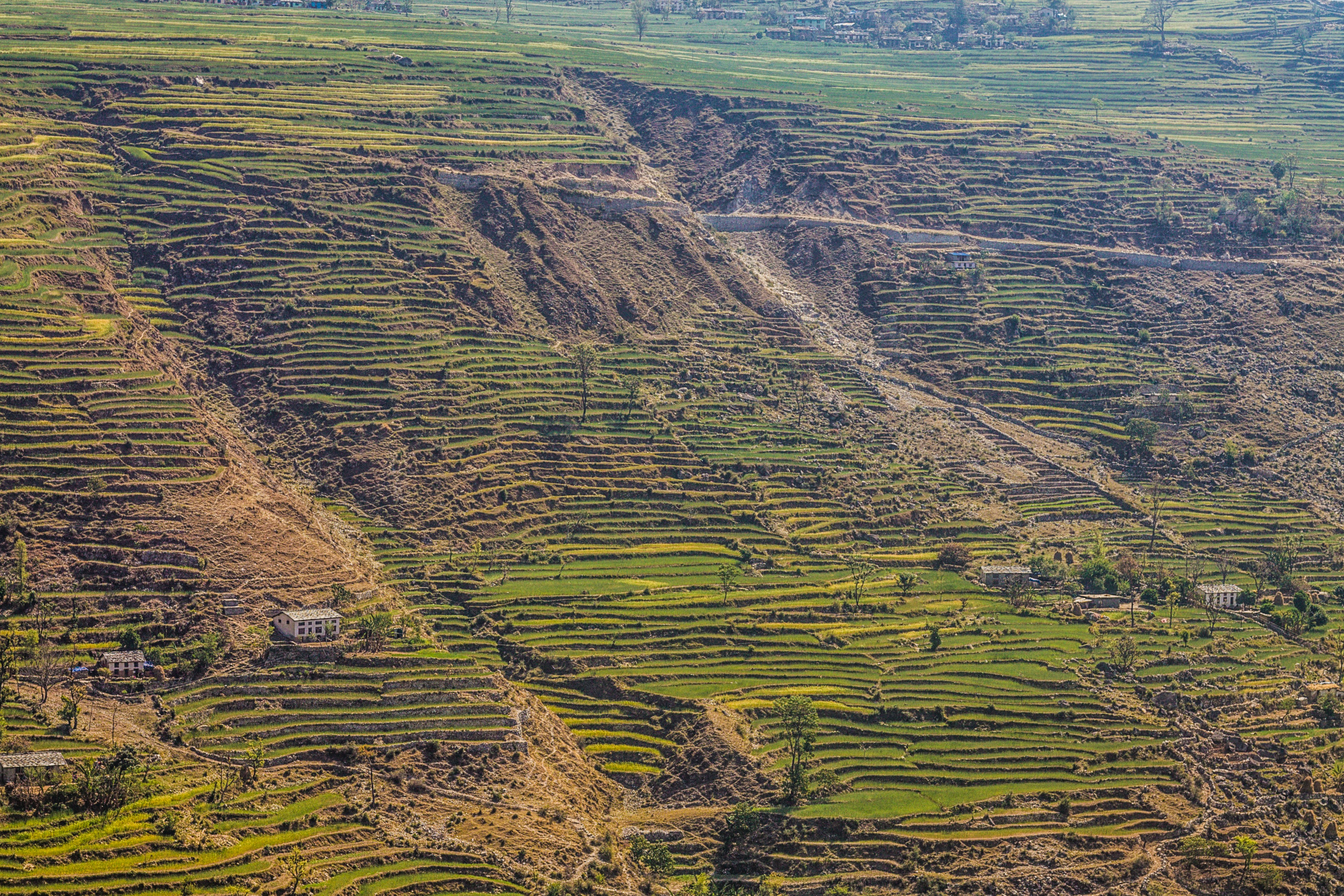 Scenic Hills with scattered houses in Darchula Village, Far Western Nepal