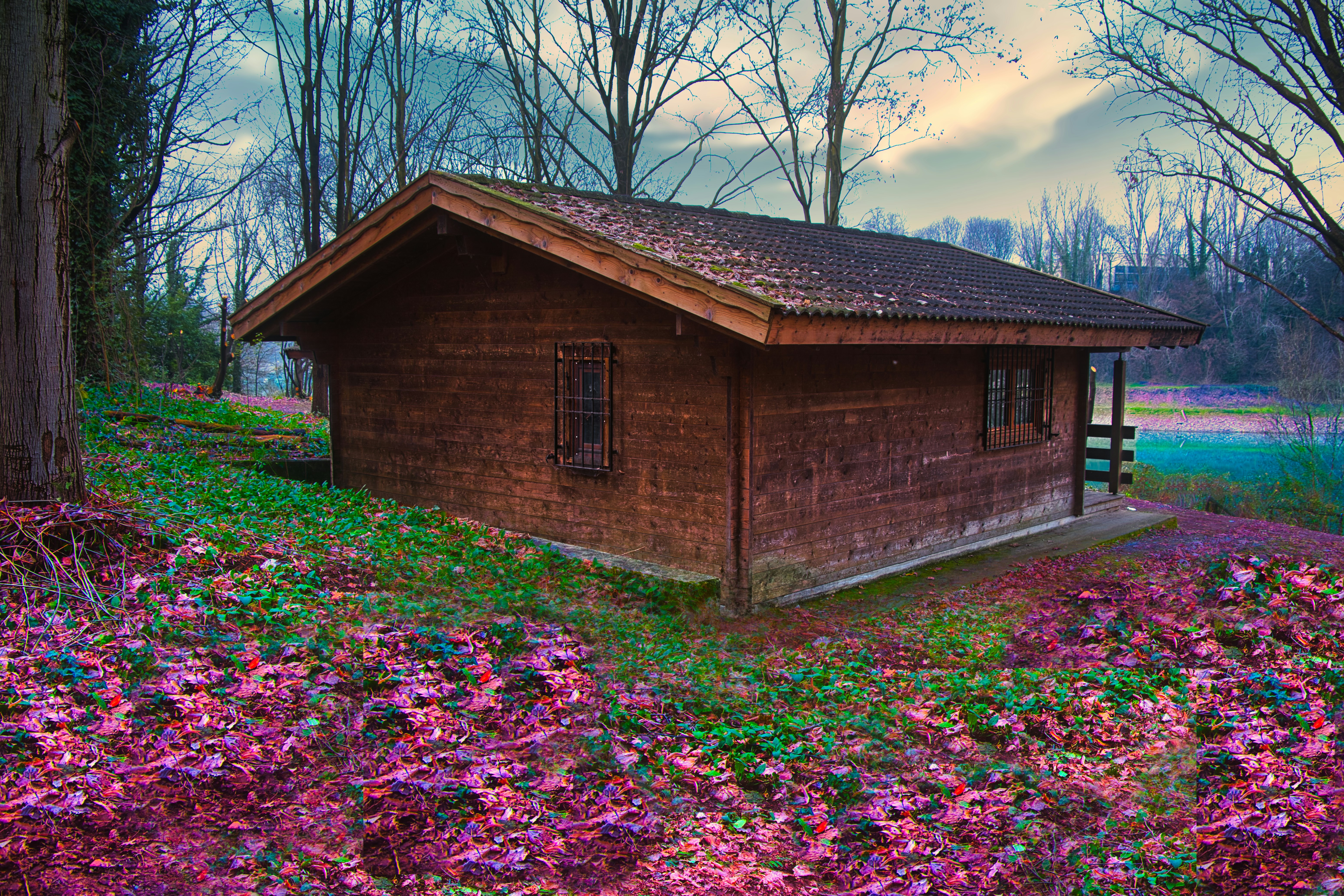 Foliage near a quarry