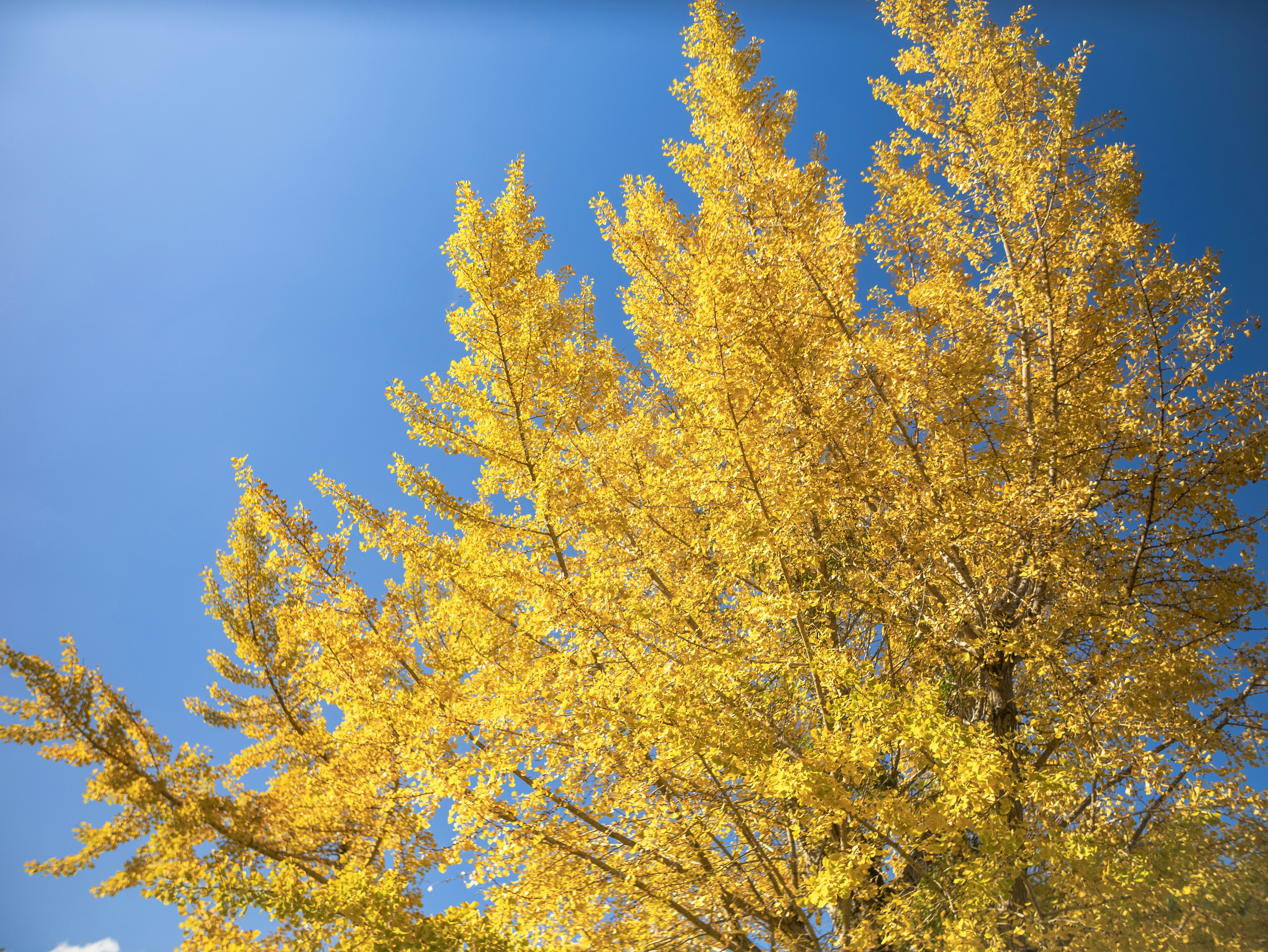 Jinomono Media (@jinomono) | Unsplash 사진 커뮤니티