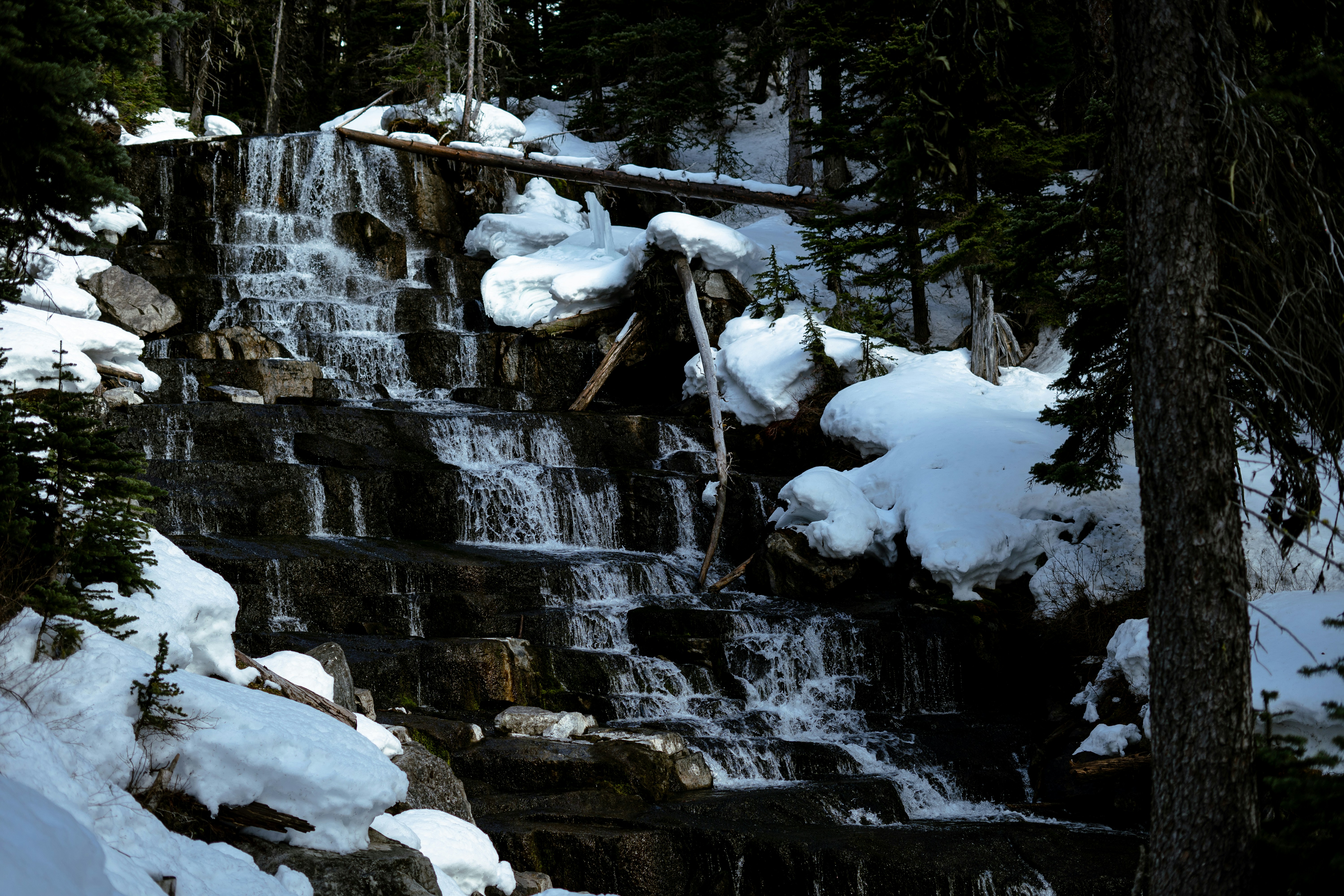 Photo by Alexa M with Sony Alpha 7 III