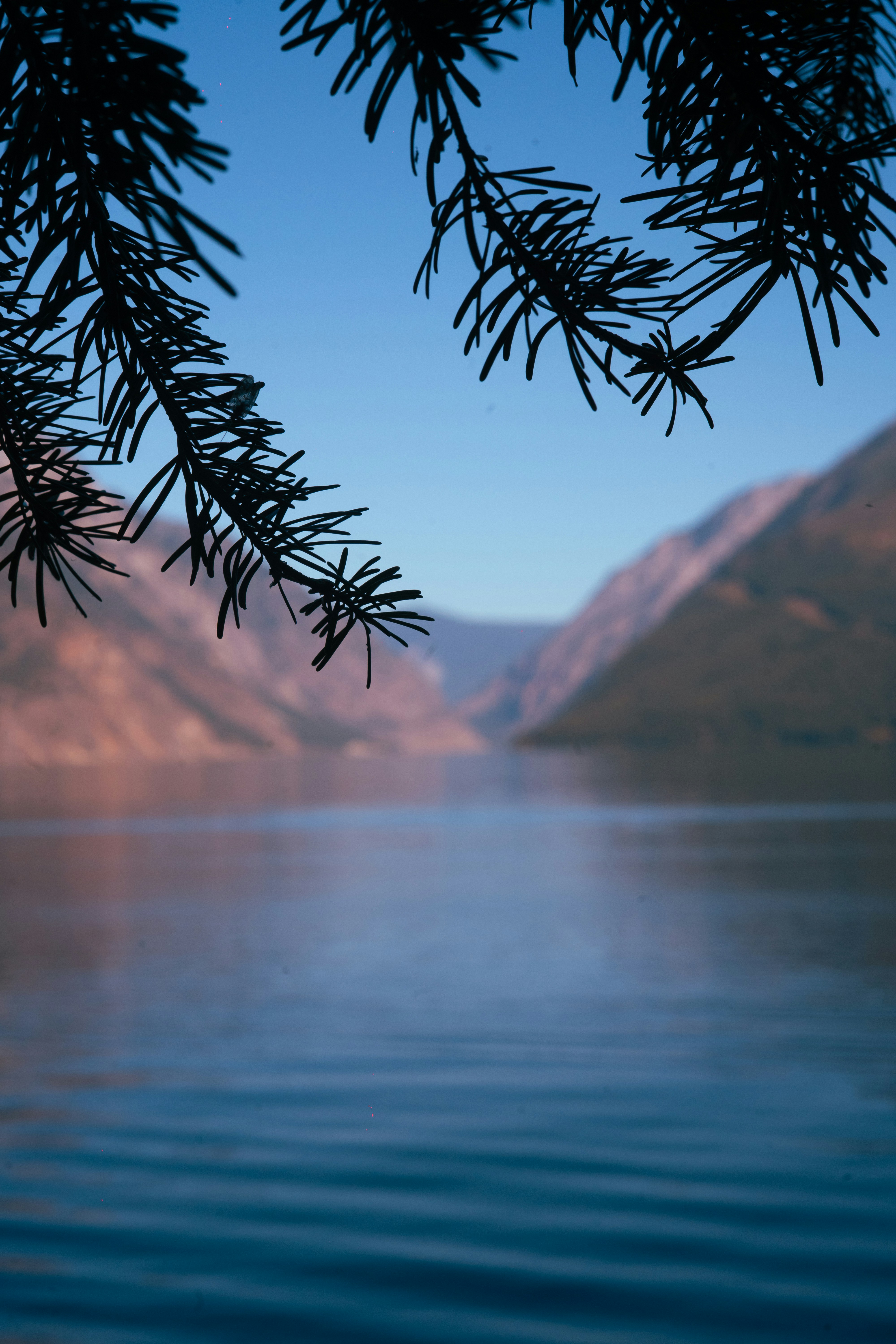 Photo by Alexa M with Sony Alpha 7 III