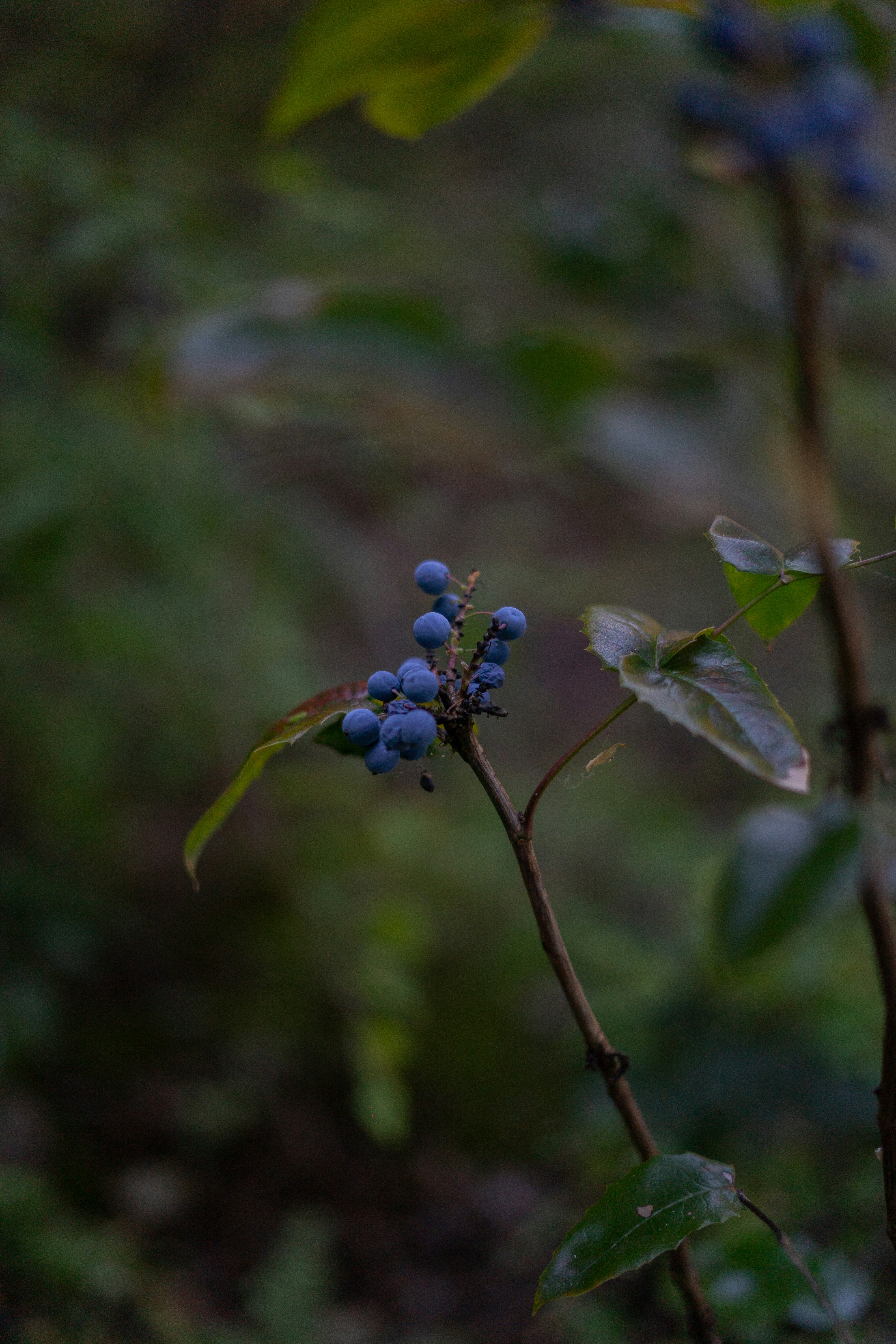 Photo by Alexa M with Sony Alpha 7 III