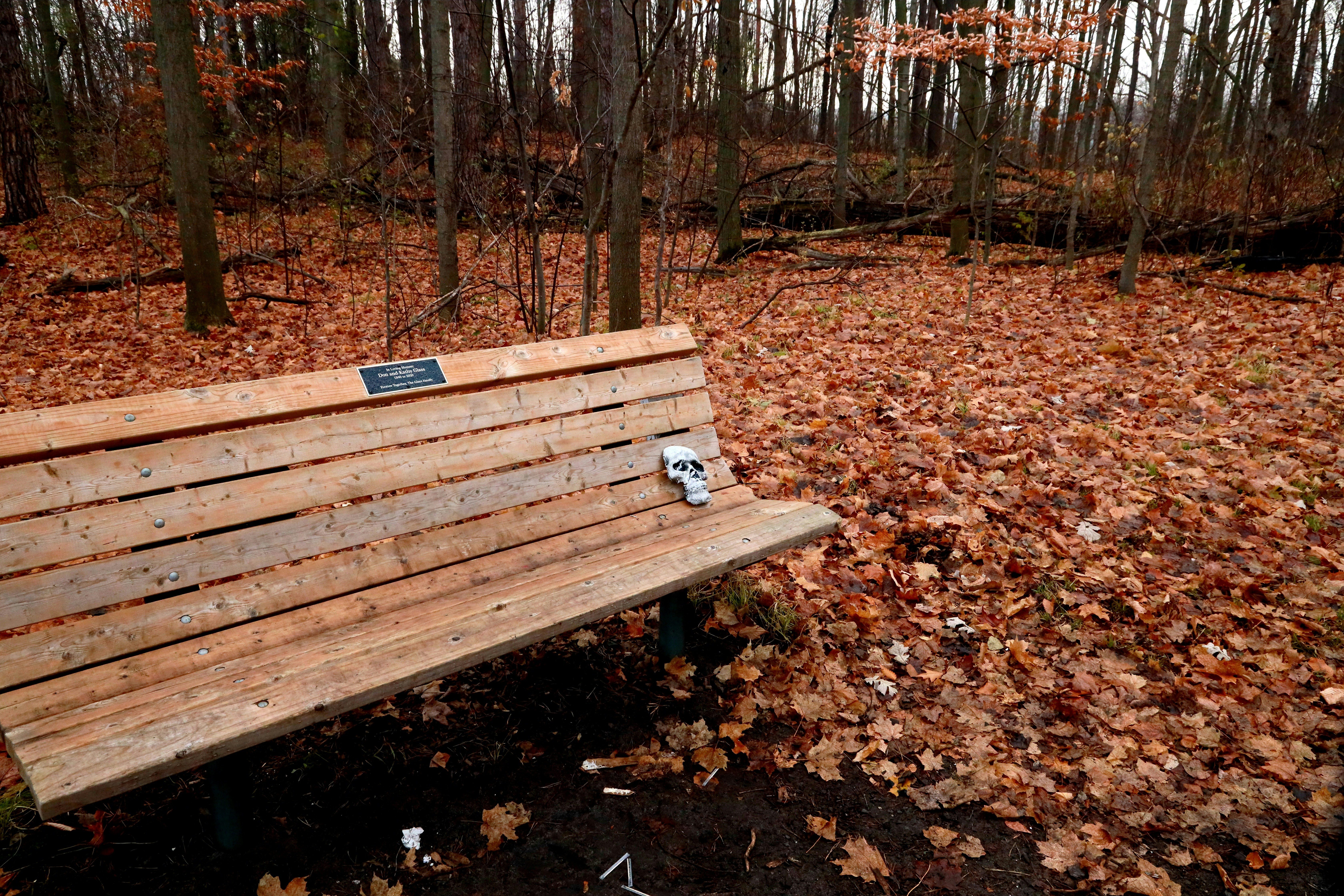 Photo by Richard Burlton with Canon EOS R