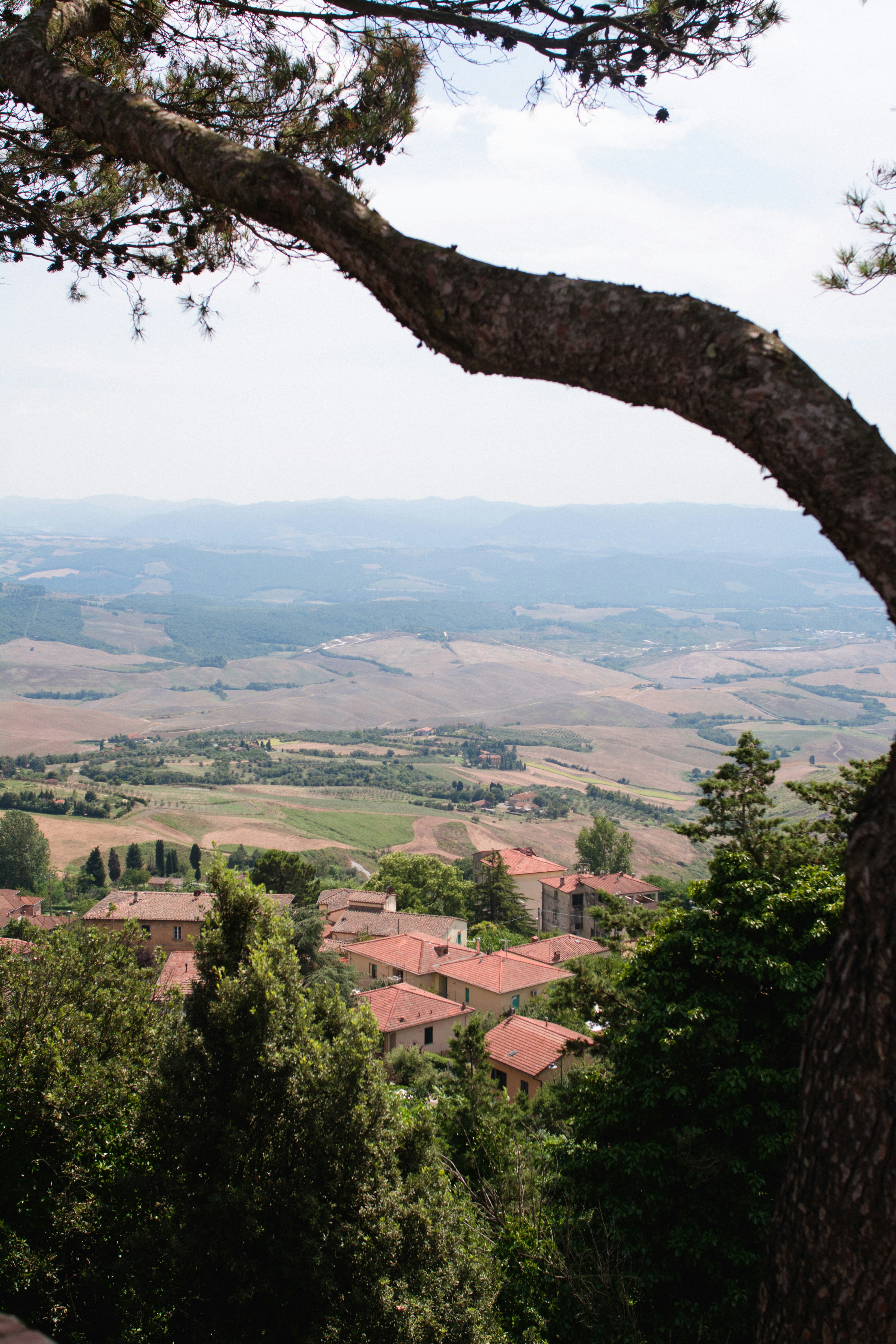 Photo by yoel rb with Nikon D5200