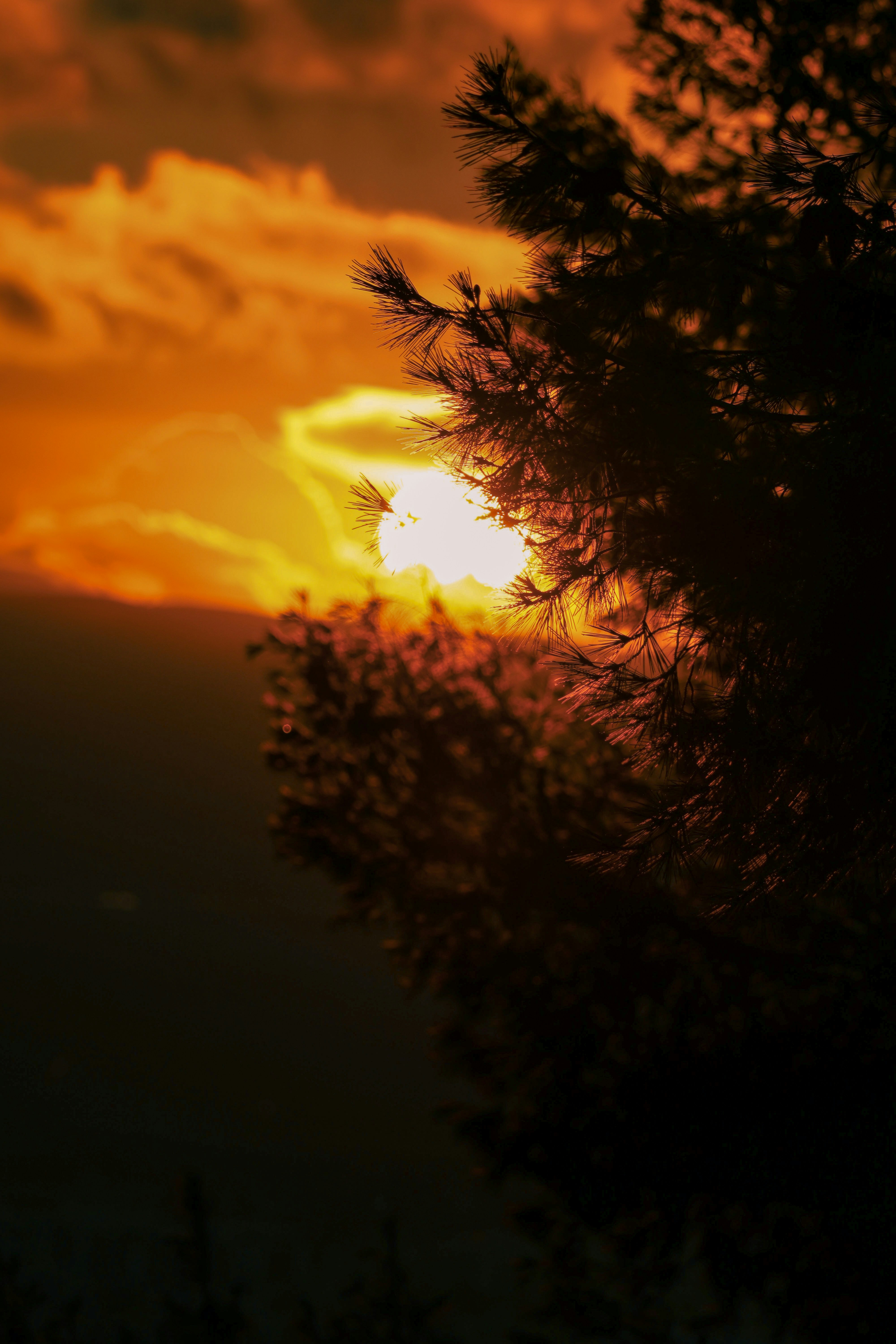 Photo by Ido l with Canon EOS R50