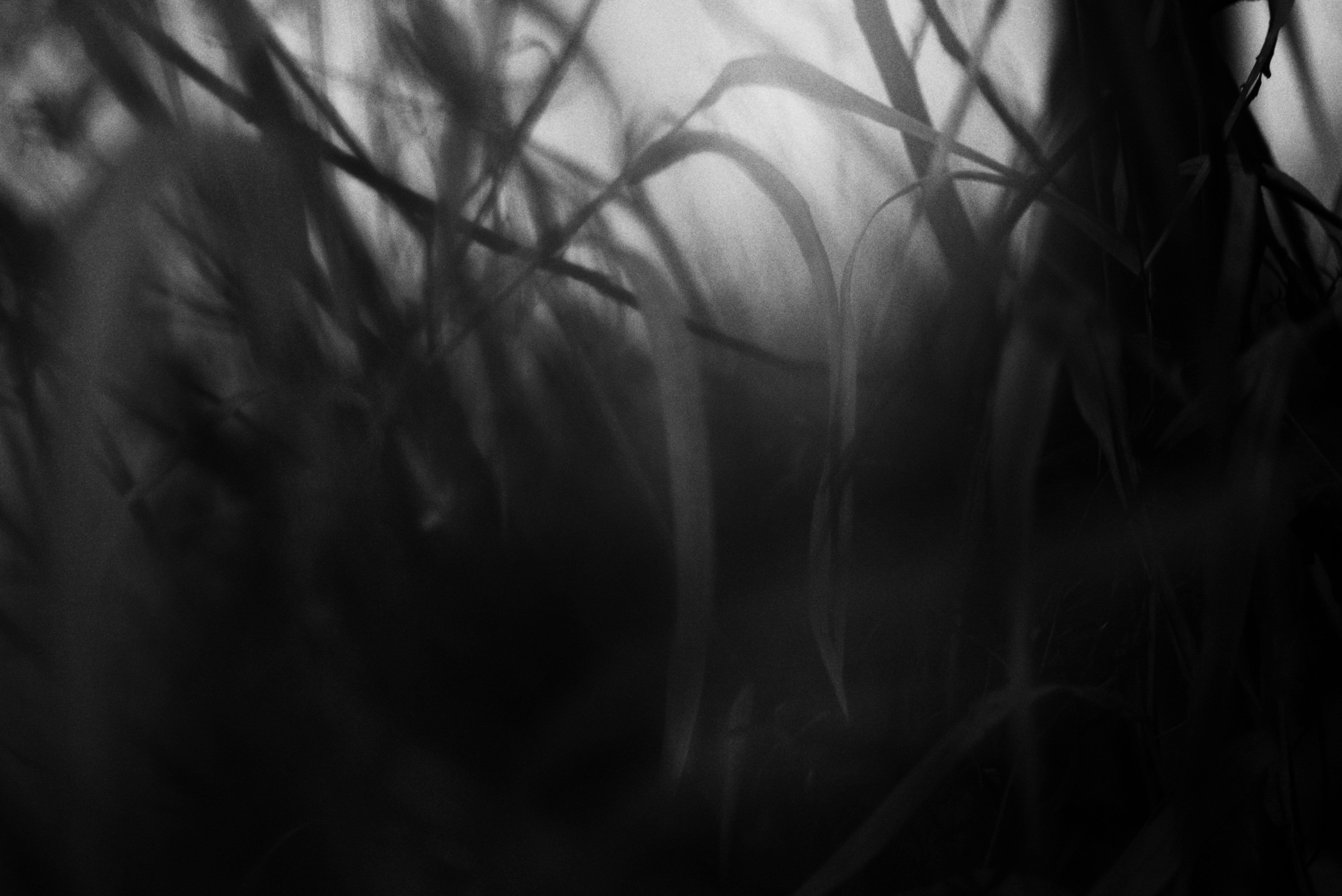 Photo by Liana S with Nikon D600