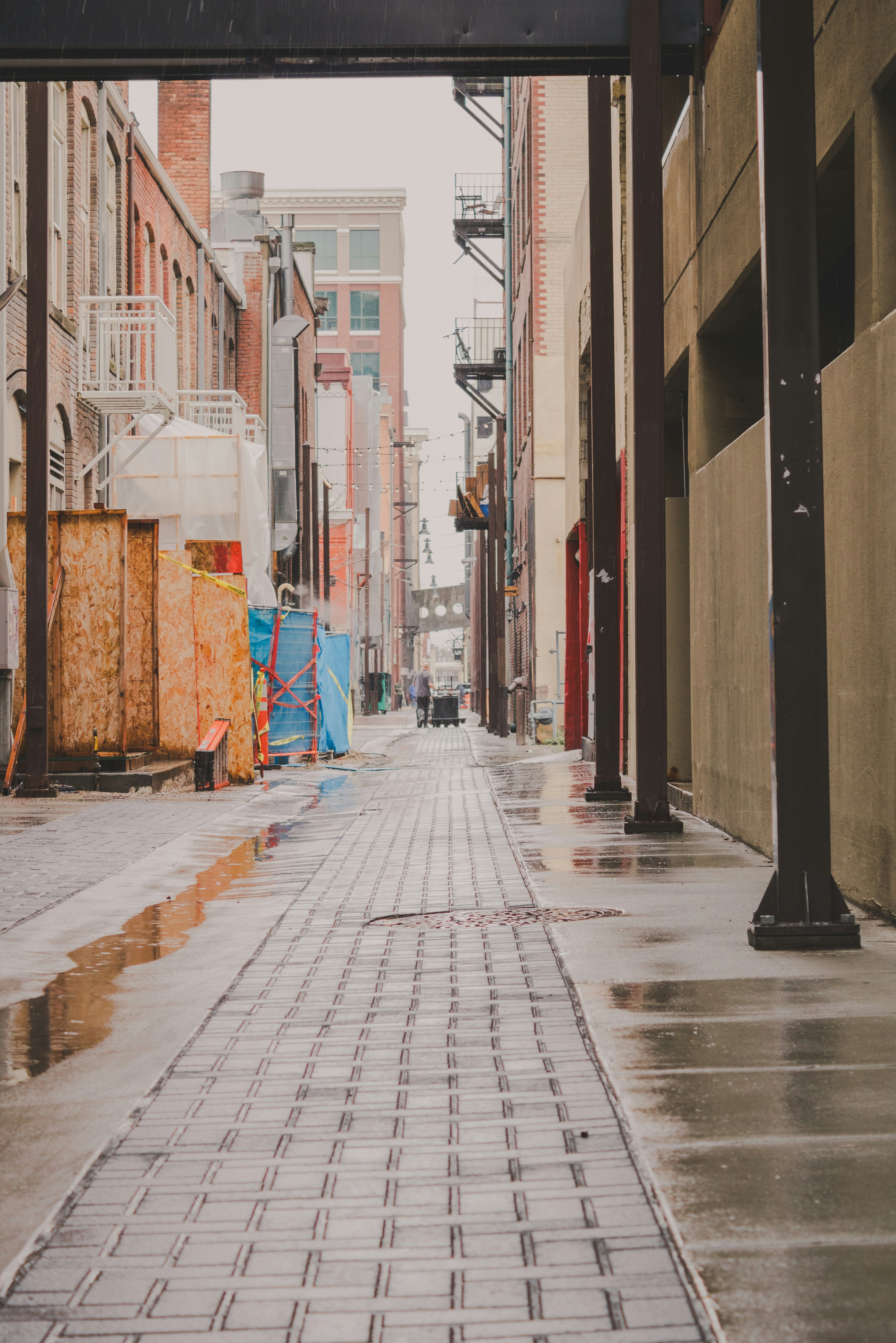 Photo by Trenton Alarcon with Canon EOS 2000D